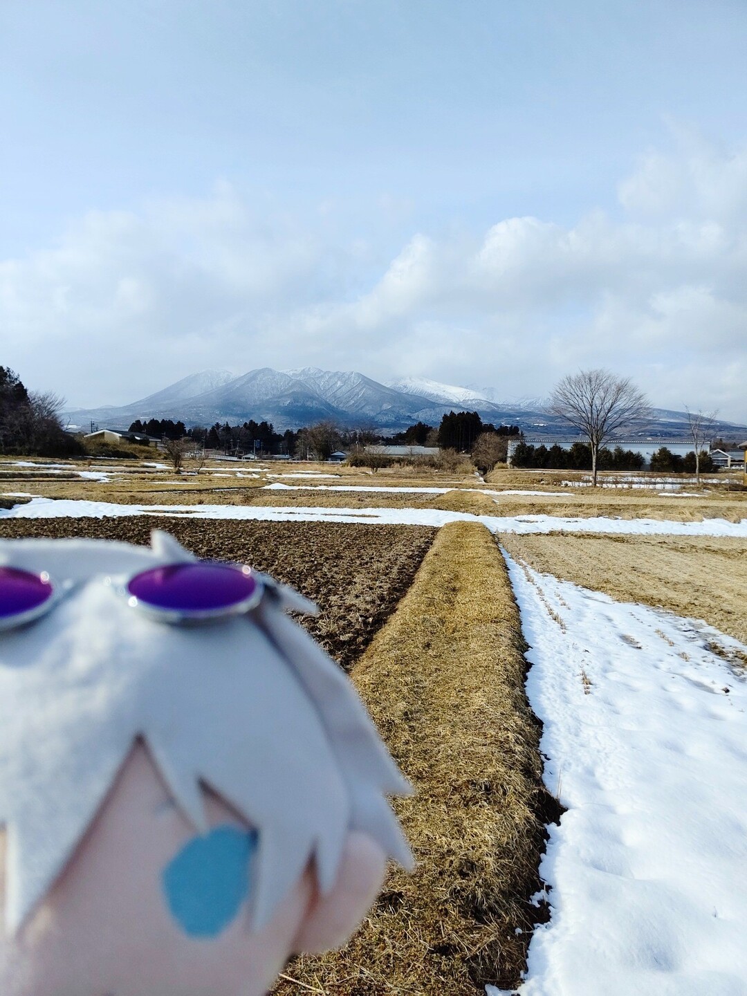 肥えてしまうから散歩に行ったのだけれども... / 青龍さんのモーメント | YAMAP / ヤマップ