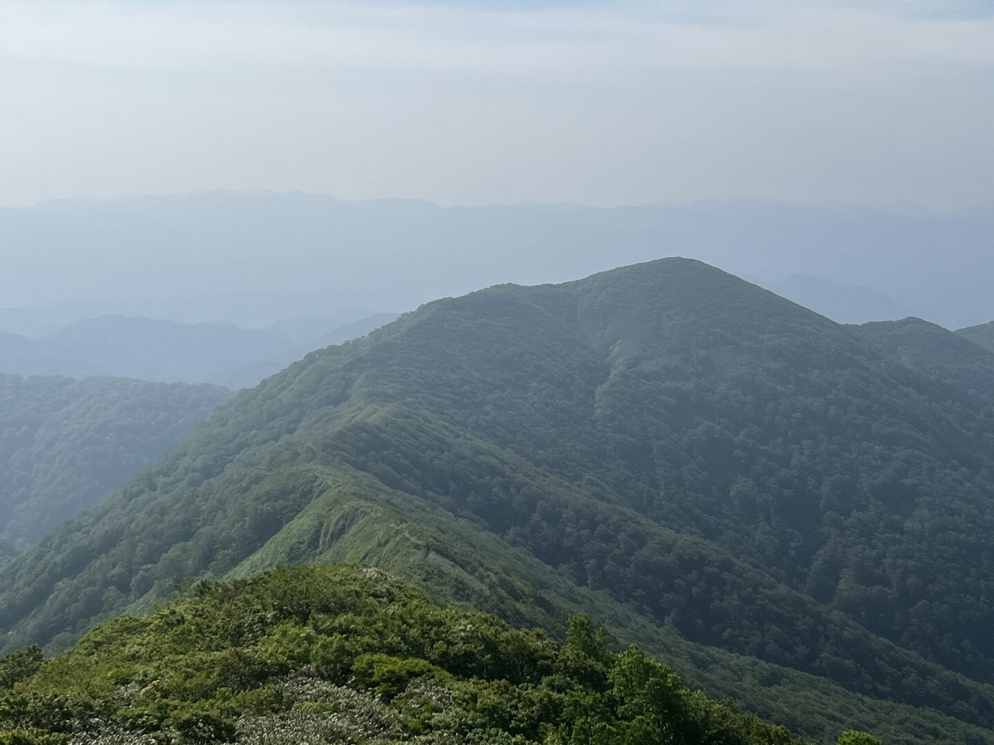 薬師岳・小杉山・小鷲倉・和賀岳・大甲山 / mt.ryuさんの和賀岳・薬師岳・高下岳の活動データ | YAMAP / ヤマップ