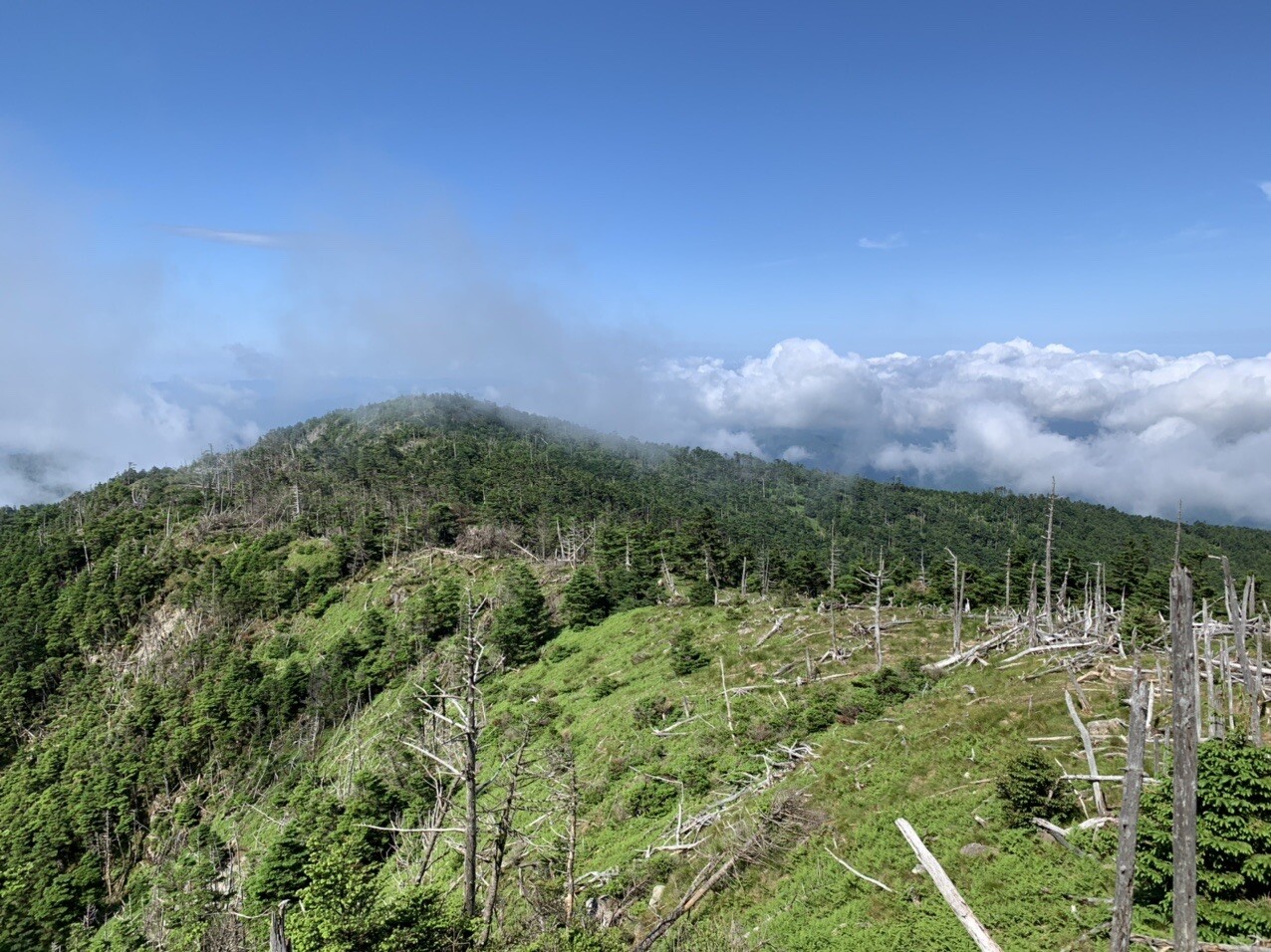 弥山・八経ヶ岳・明星ヶ岳 / yomshtさんの登山の活動データ | YAMAP / ヤマップ