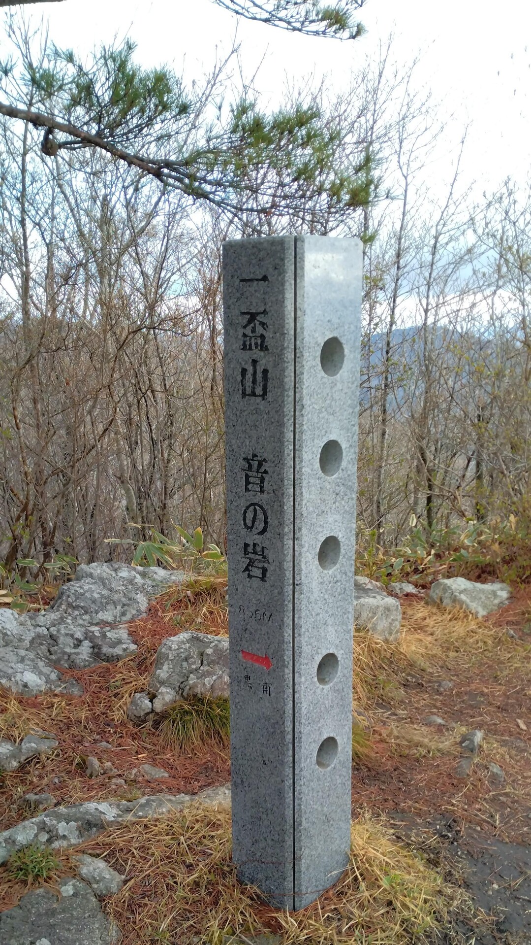 一盃山 / type52さんの一盃山の活動データ | YAMAP / ヤマップ