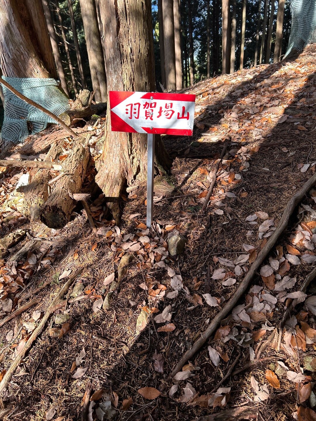 yuu39さんの投稿したフィールドメモ | YAMAP / ヤマップ