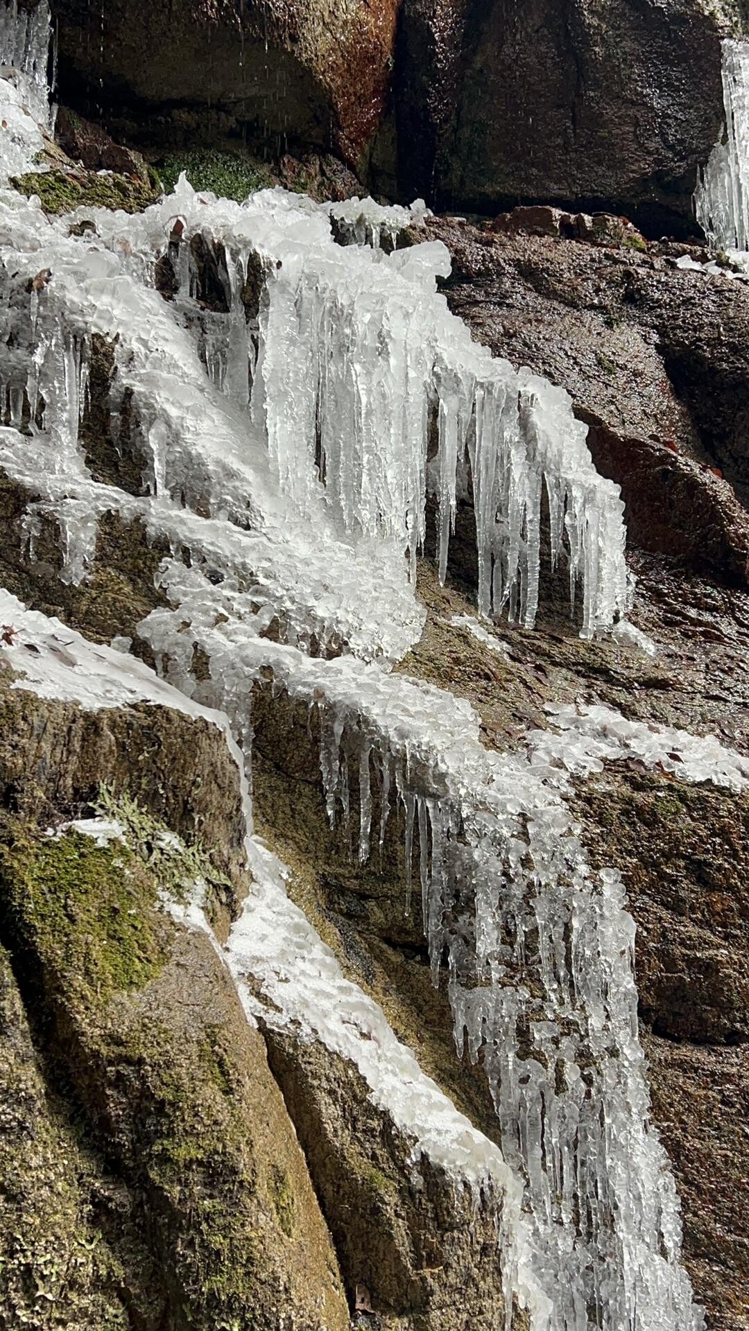 行者尾根・摩耶山・カスケードバレイ / yumiさんの六甲山・長峰山・摩耶山の活動データ | YAMAP / ヤマップ