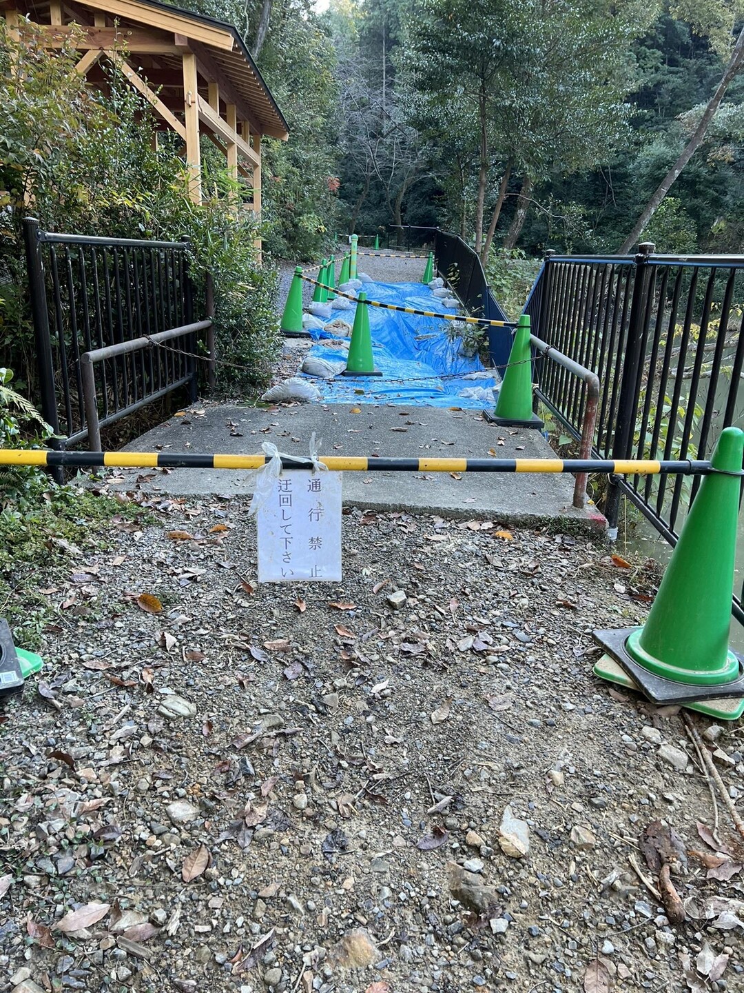 HIKARUさんの投稿したフィールドメモ | YAMAP / ヤマップ