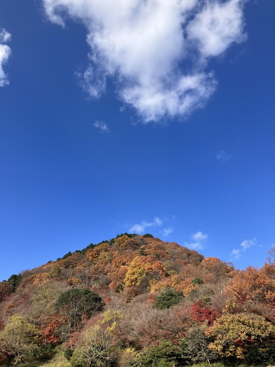 鎌ヶ岳1（鈴鹿セブン3） / senさんの入道ヶ岳・鎌ヶ岳・仙ヶ岳の活動データ | YAMAP / ヤマップ