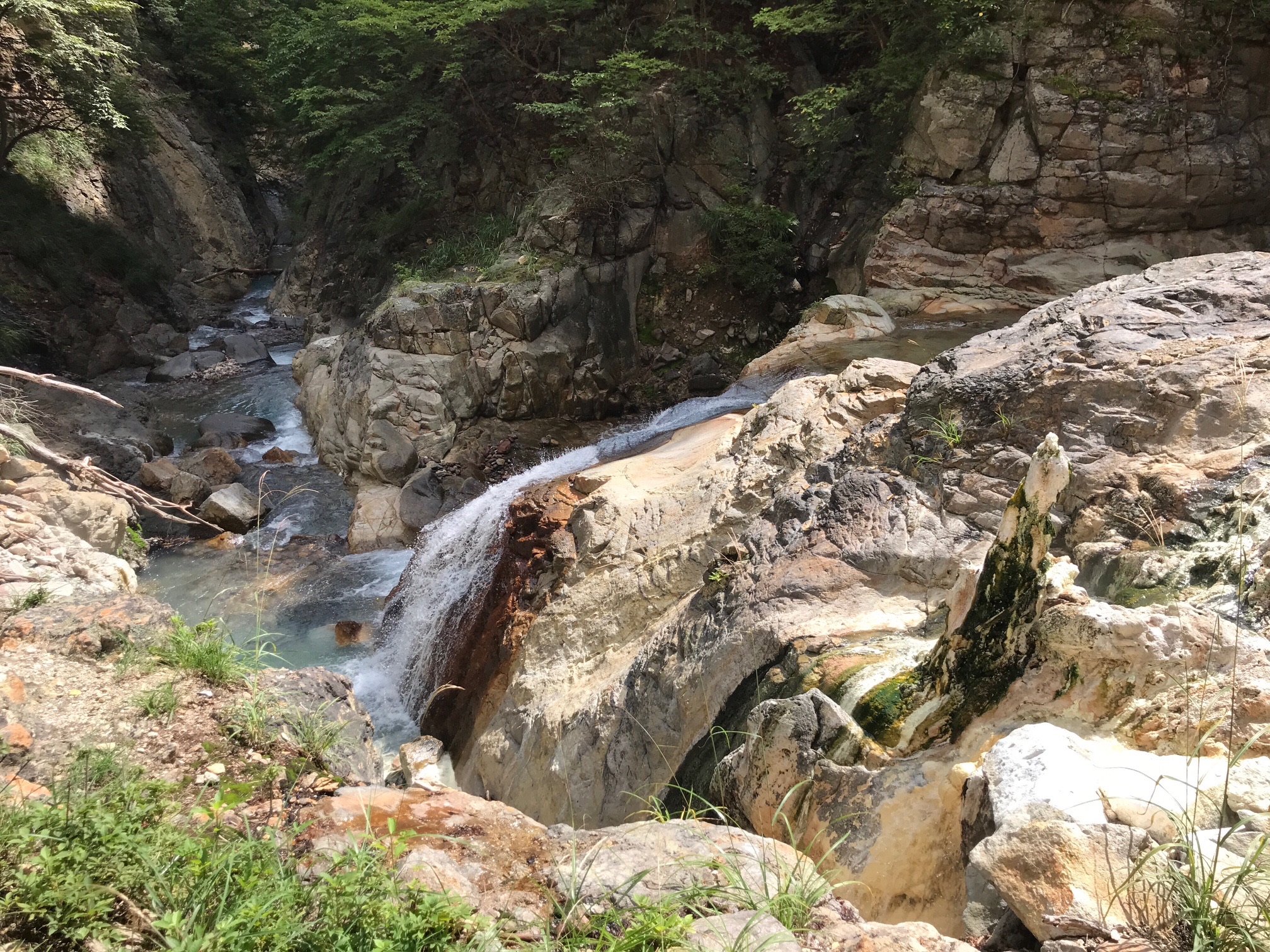 kaikeiちゃんねる(YouTube)さんの投稿したフィールドメモ | YAMAP / ヤマップ