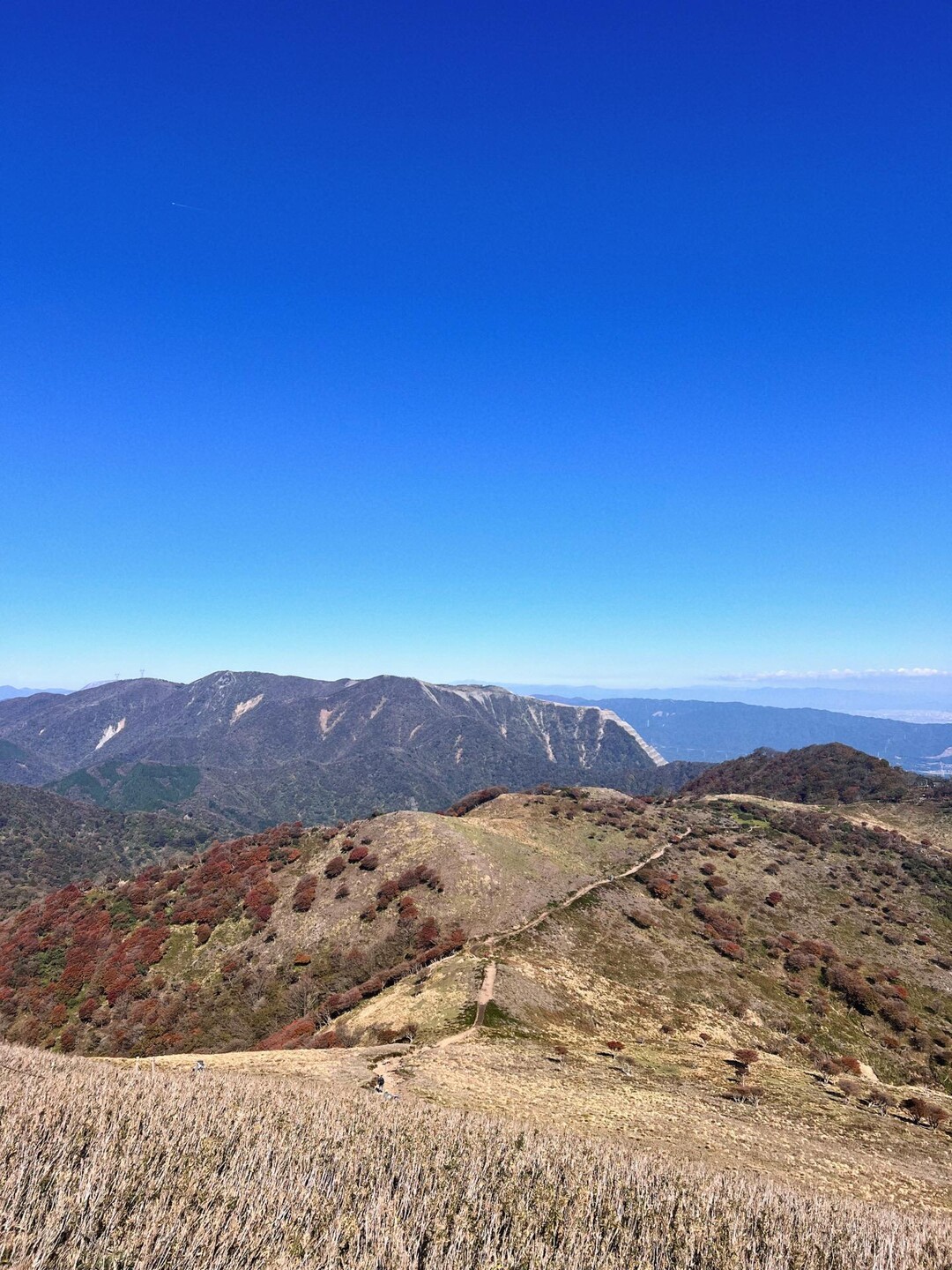 久しぶりの赤い羊たち🐏🍁 / mikiさんの竜ヶ岳の活動データ | YAMAP / ヤマップ