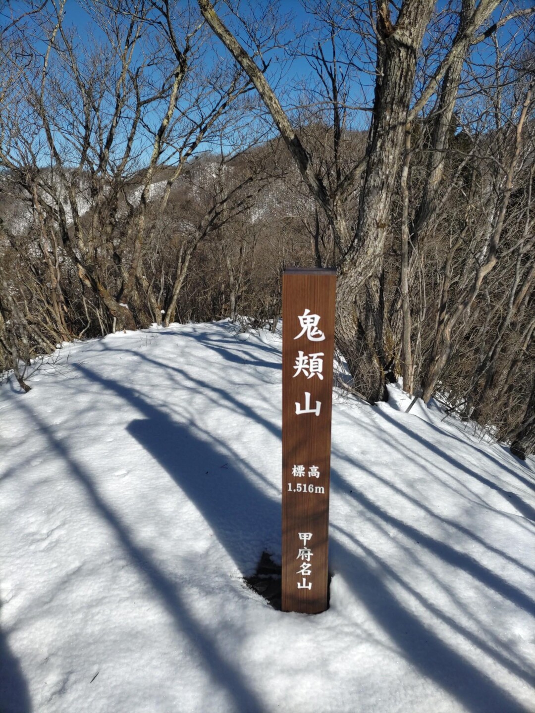 太刀岡で🐾足スタンプ / Rioさんの茅ヶ岳・金ヶ岳・太刀岡山の活動データ | YAMAP / ヤマップ