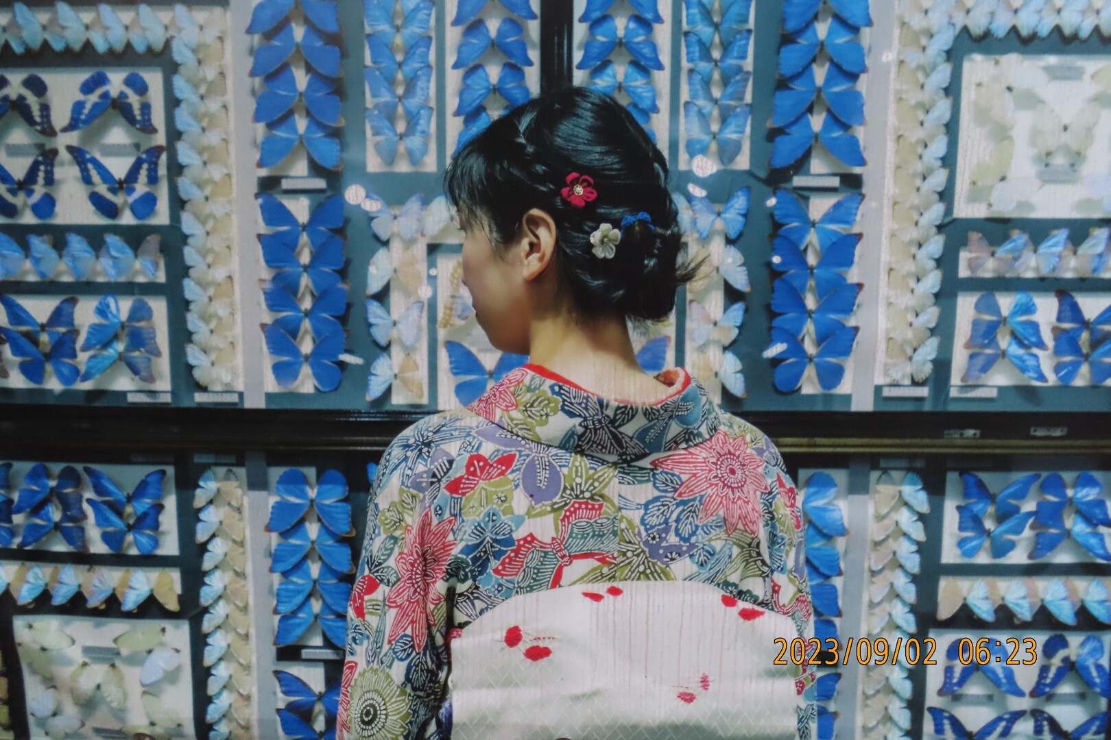 Morning practice at Mt. Kinka / 松本留五郎さんの金華山・洞山・舟伏山の活動データ | YAMAP / ヤマップ