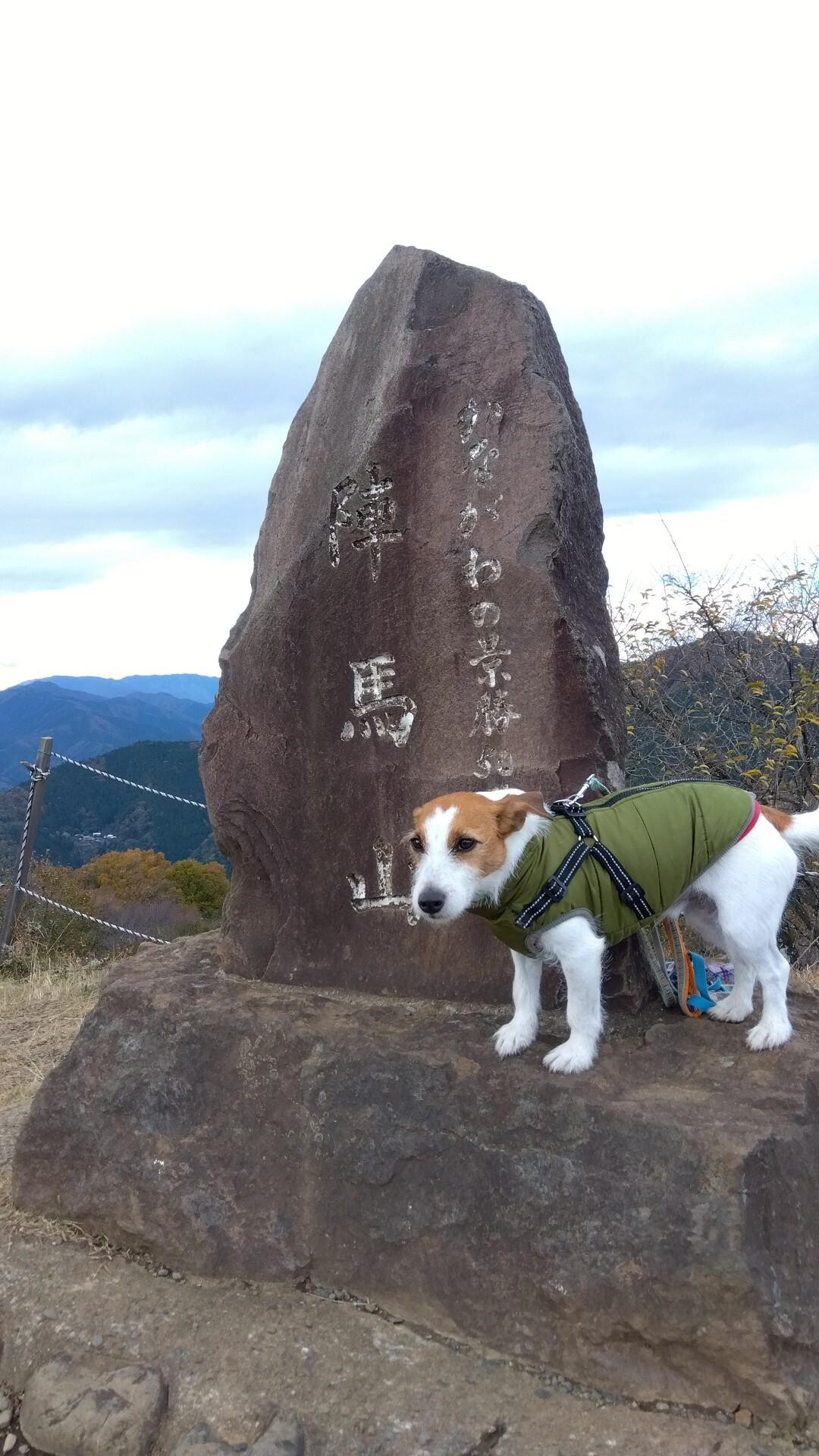 爆風の日🌀🤧陣馬山へ / Veenaさんの高尾山・陣馬山・景信山の活動データ | YAMAP / ヤマップ