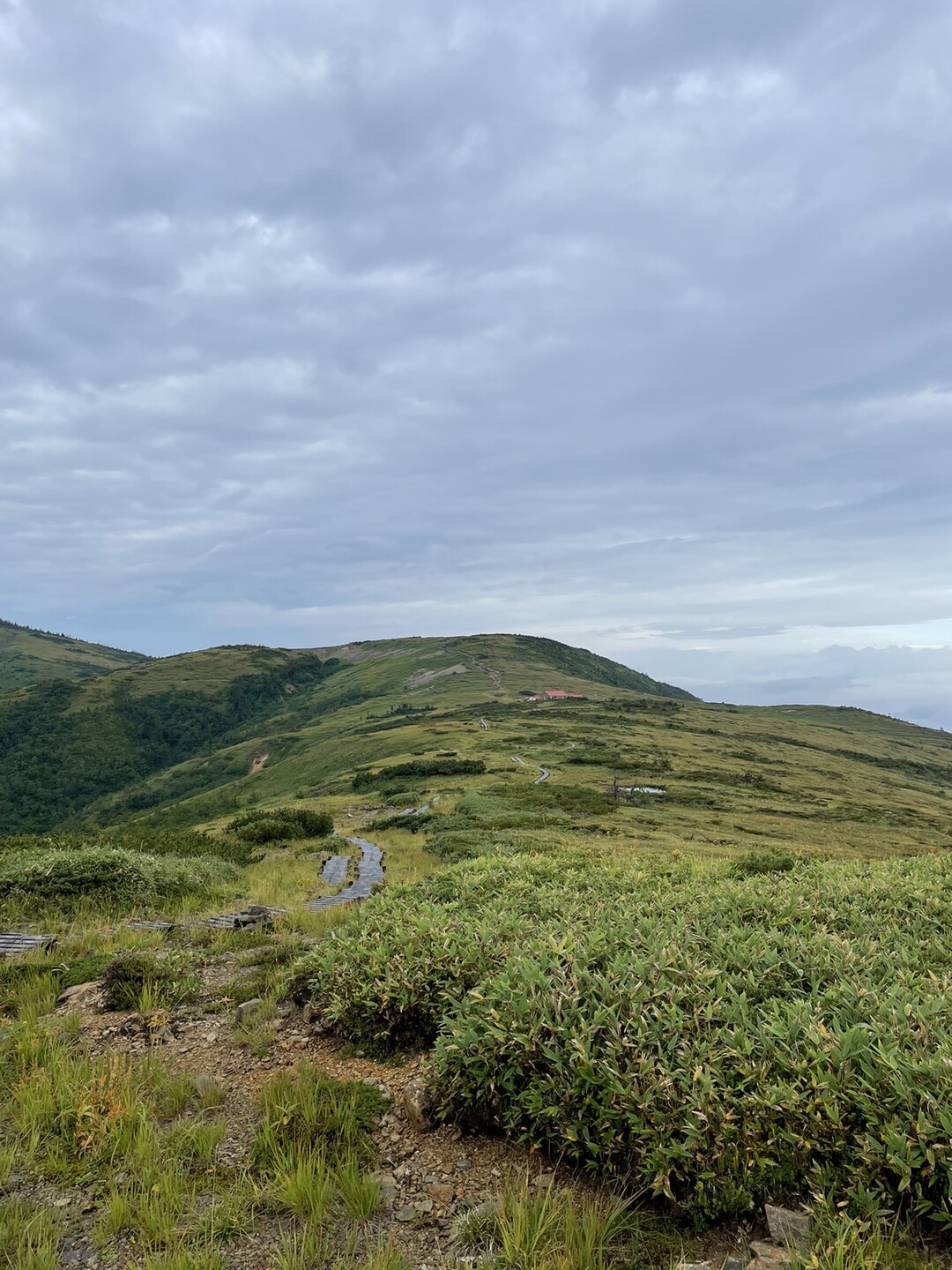 薬師岳山荘 / askさんの水晶岳・薬師岳・黒部五郎岳の活動データ | YAMAP / ヤマップ
