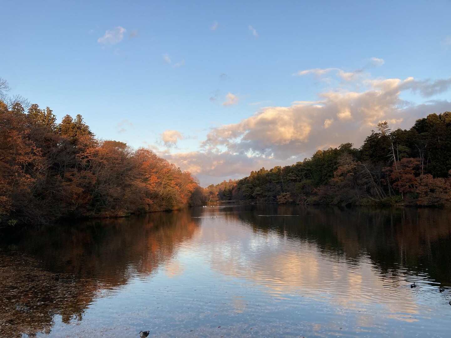 おはようございます^ ^ 今朝は風は穏... / OBsunさんのモーメント | YAMAP / ヤマップ