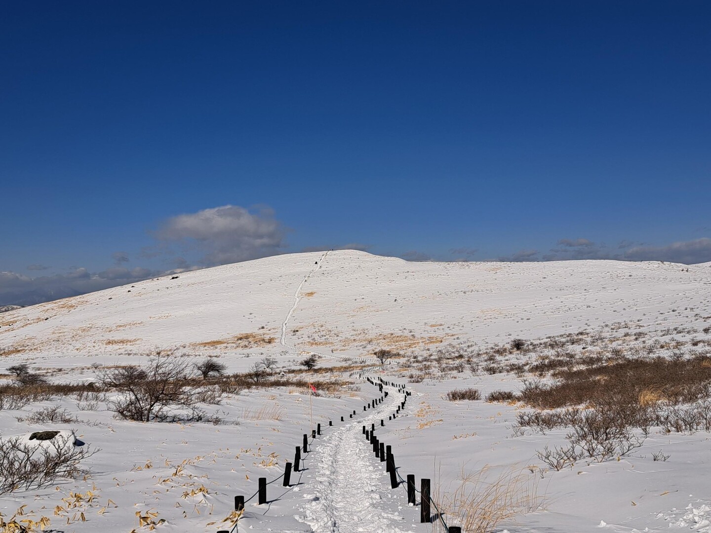 車山〜蝶々深山スノーハイク / rie.yさんの霧ヶ峰・車山・大笹峰の活動データ | YAMAP / ヤマップ