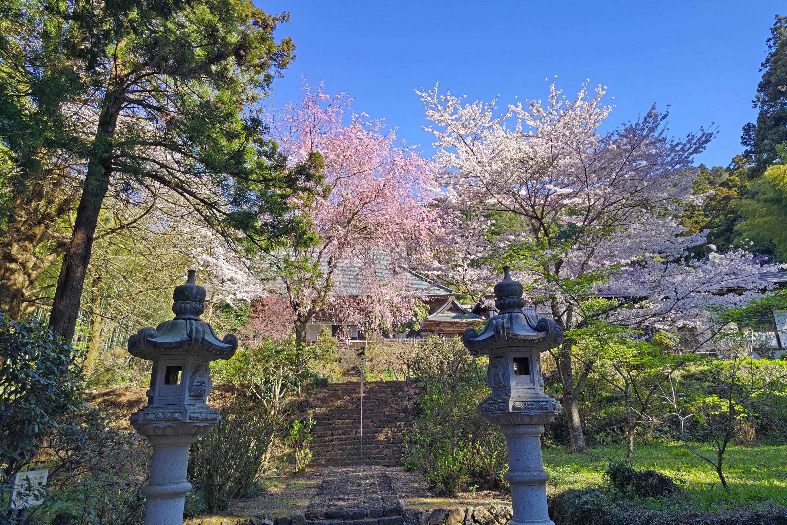 太平山・晃石山・青入山 / TKcさんの太平山・晃石山・唐沢山の活動データ | YAMAP / ヤマップ