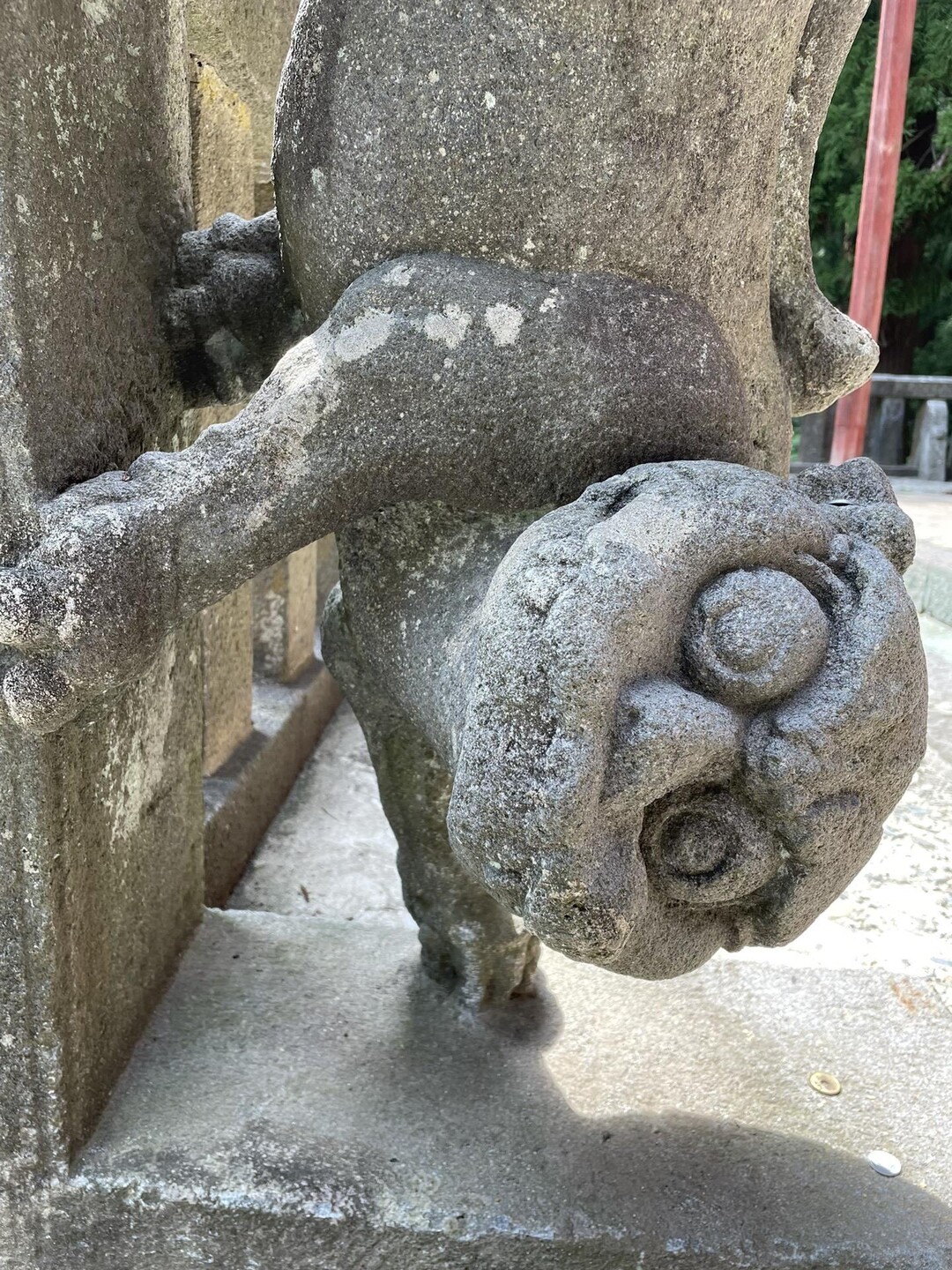 田んぼアートetc.-2023-08-31 / やっちさんのウォーキングの活動データ | YAMAP / ヤマップ