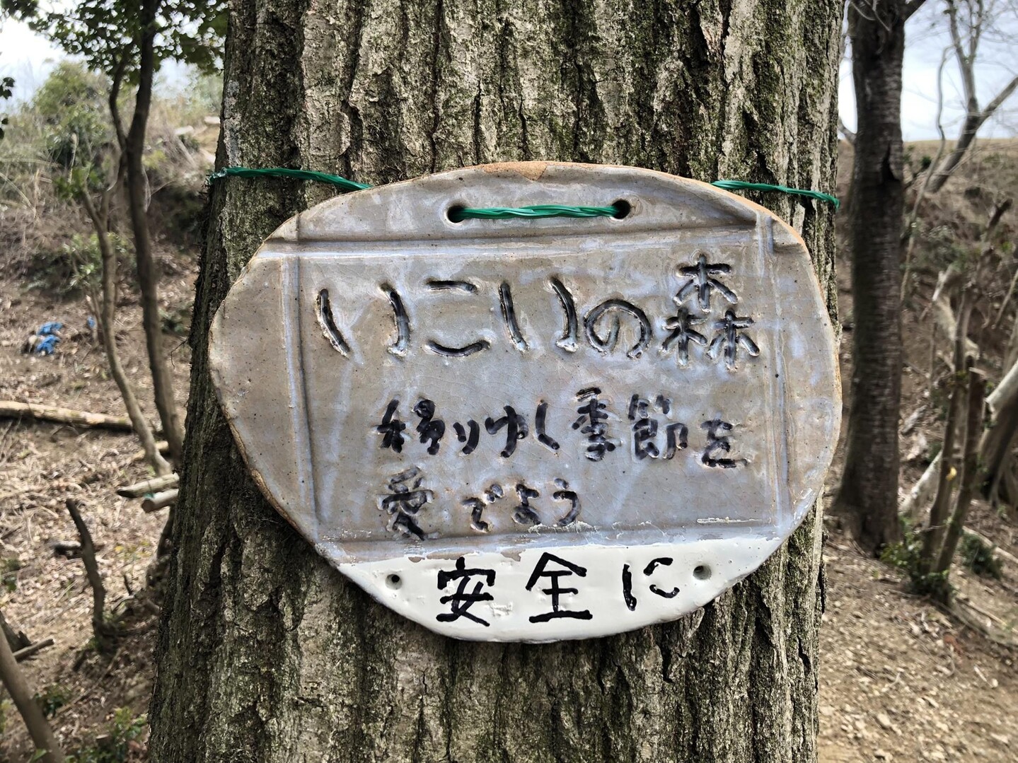 桝形山 13 / pixyさんの堀坂山・観音岳・桝形山（白米城）の活動データ | YAMAP / ヤマップ