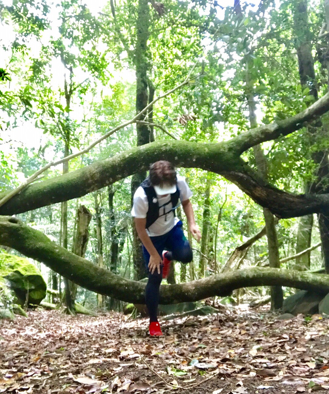 八重山・鷹ノ子岳-2019-06-16 / mountain_run®️hiroさんの八重山・鷹ノ子岳の活動データ | YAMAP / ヤマップ