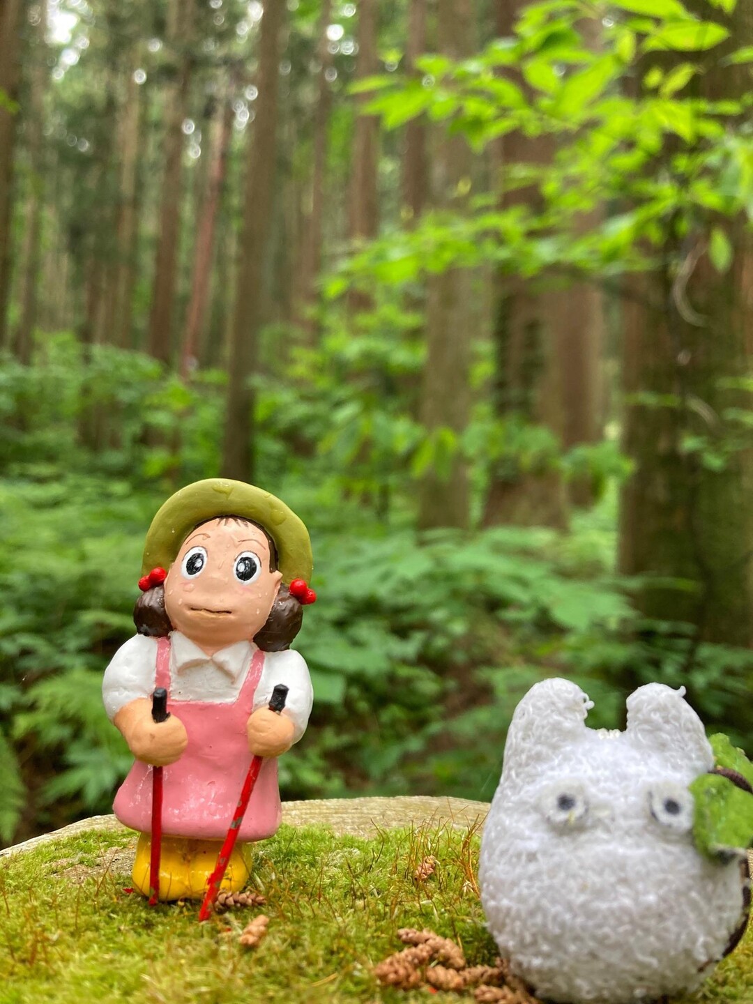 みんな大好き！弥彦山！ / shouさんの弥彦山・多宝山・雨乞山の活動データ | YAMAP / ヤマップ