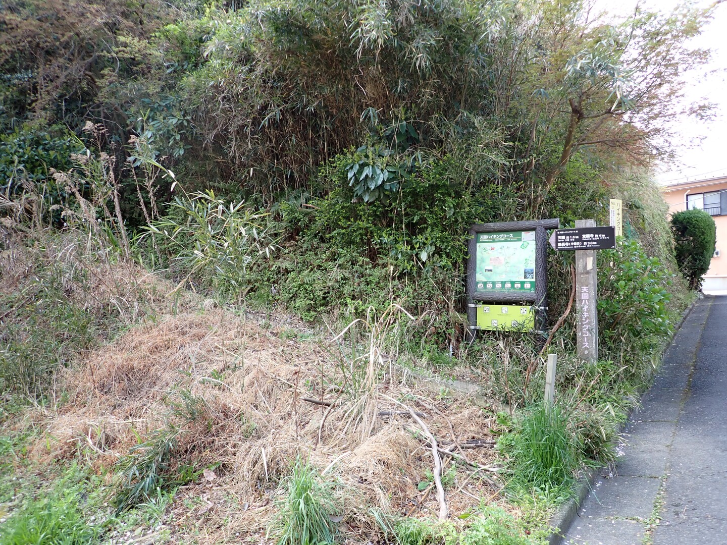 nakameguさんの投稿したフィールドメモ | YAMAP / ヤマップ