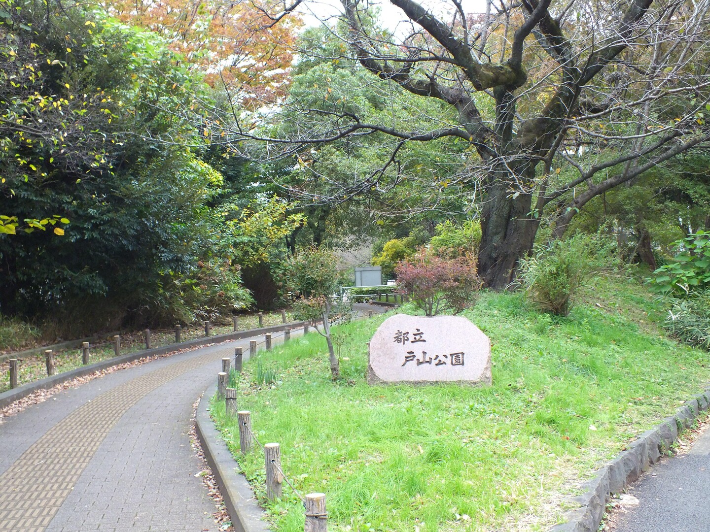 箱根山 / blue_39さんの東京都23区 中央エリアの活動データ | YAMAP / ヤマップ