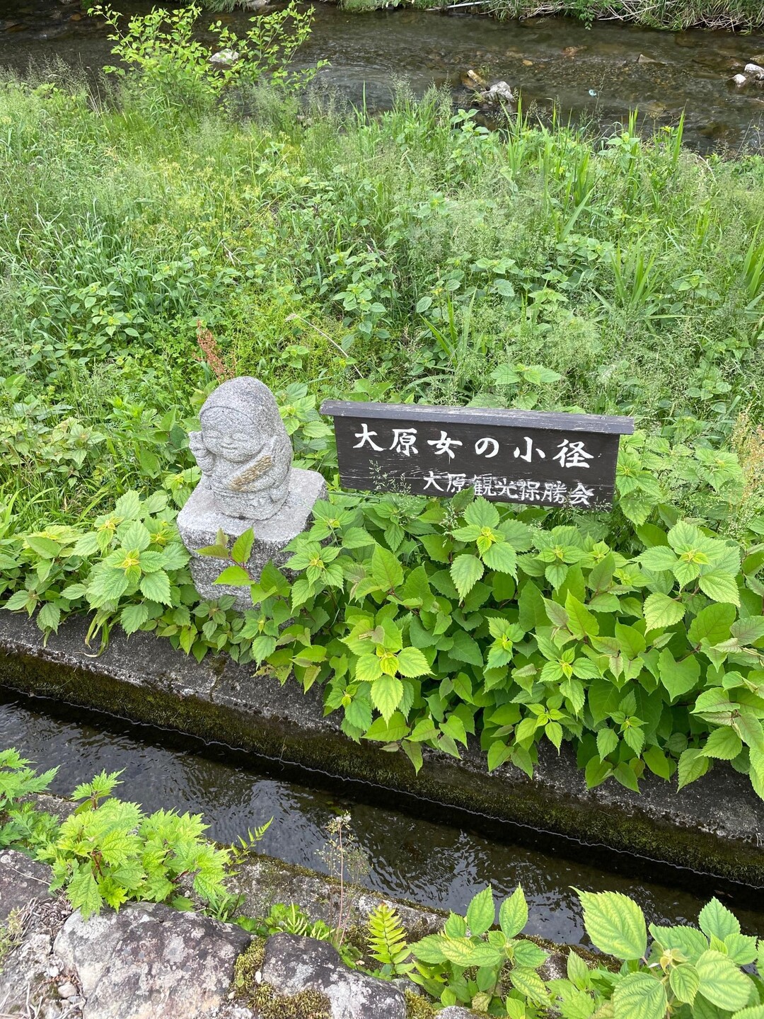 京都大原あたり🚶🏻🚶🏻‍♀️ / M&Jさんの金毘羅山・翠黛山・焼杉山の活動データ | YAMAP / ヤマップ