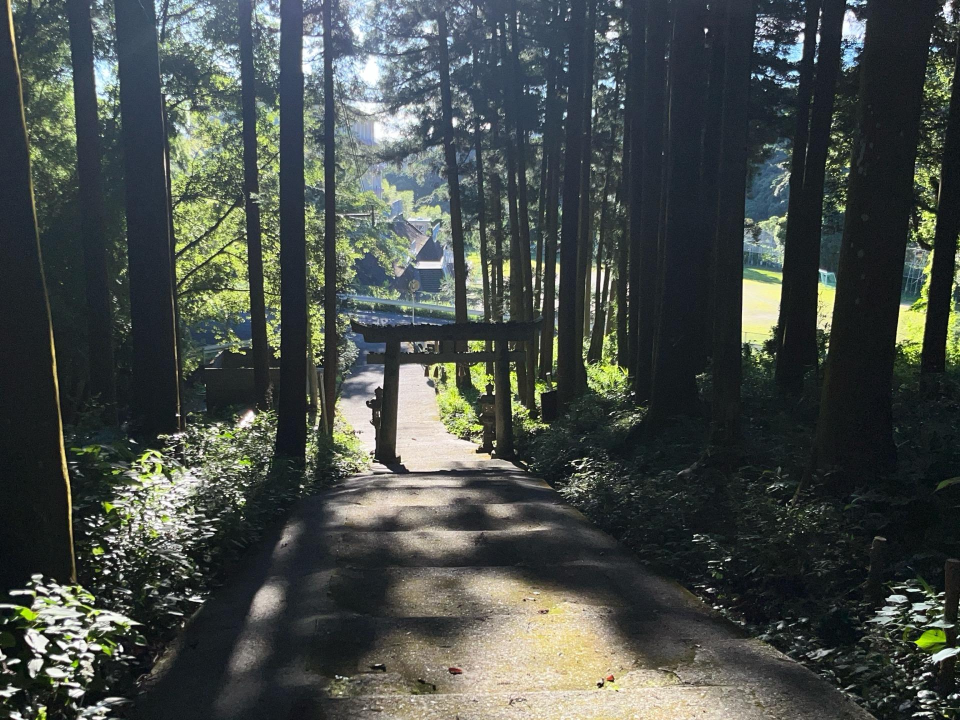 岩屋山・十郎岳 / ryoskさんの岩屋山・舞岳の活動データ | YAMAP / ヤマップ