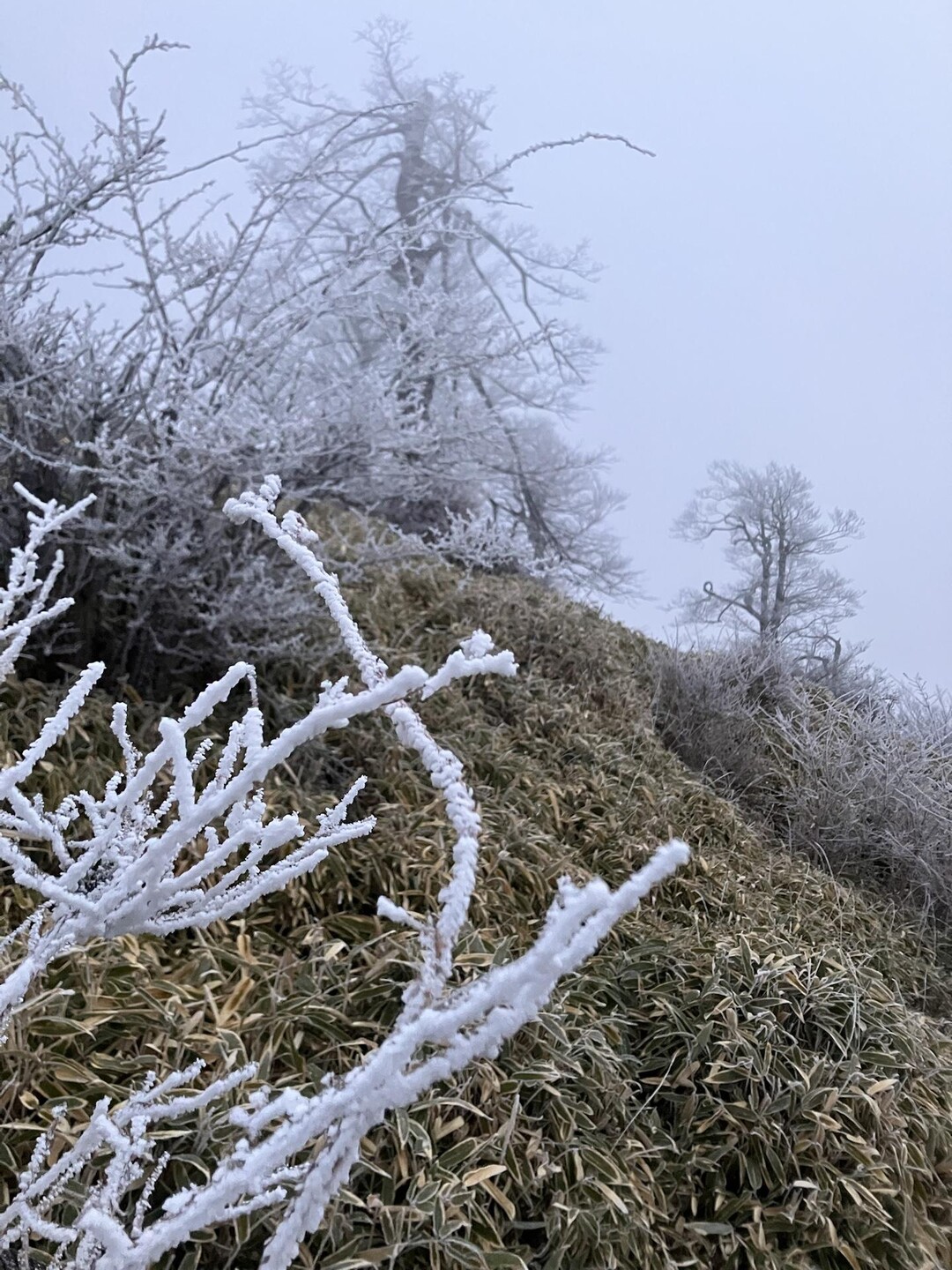 西丹沢vc〜檜洞丸〜蛭ヶ岳〜丹沢山〜大倉 / おやまDA☆さんの塔ノ岳・丹沢山・蛭ヶ岳の活動データ | YAMAP / ヤマップ