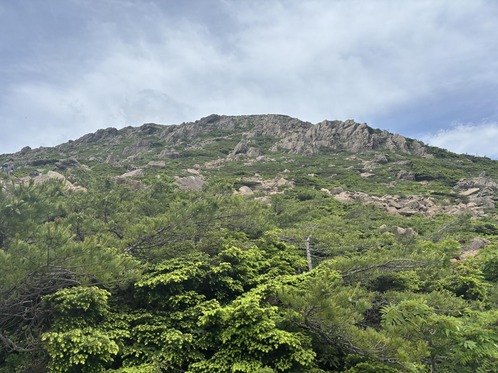 早池峰山 / Pelliotさんの早池峰山・薬師岳・鶏頭山の活動データ | YAMAP / ヤマップ