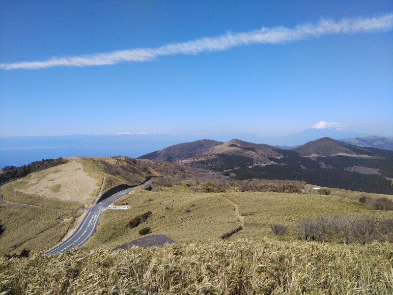 猫越岳(=^・^=)と大仁の河津桜並木🌸 / ankamoさんの棚場山・魂の山・猫越岳の活動データ | YAMAP / ヤマップ