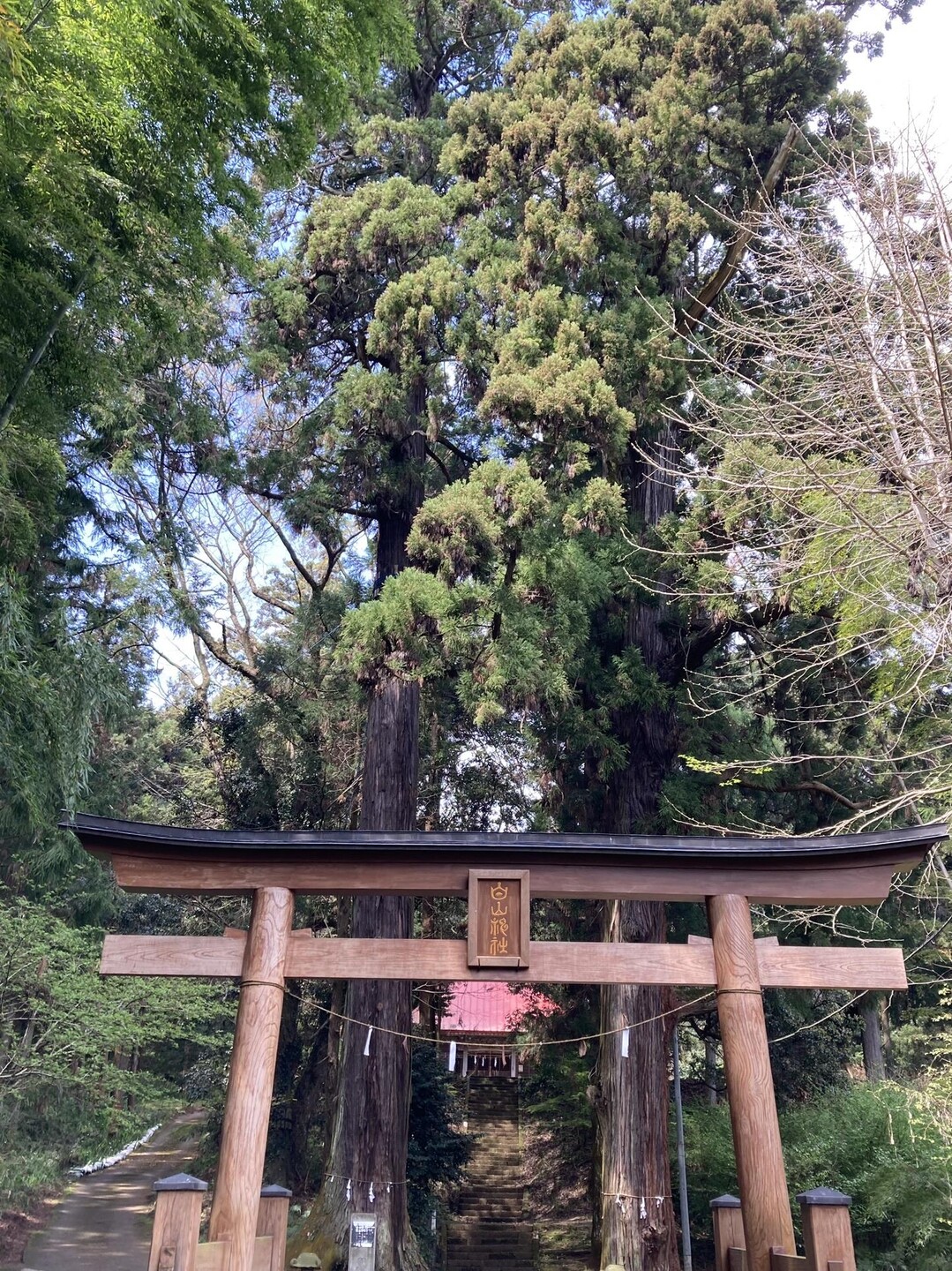 頭高山・八国見山 / Ok-836さんの八国見山・頭高山の活動データ | YAMAP / ヤマップ