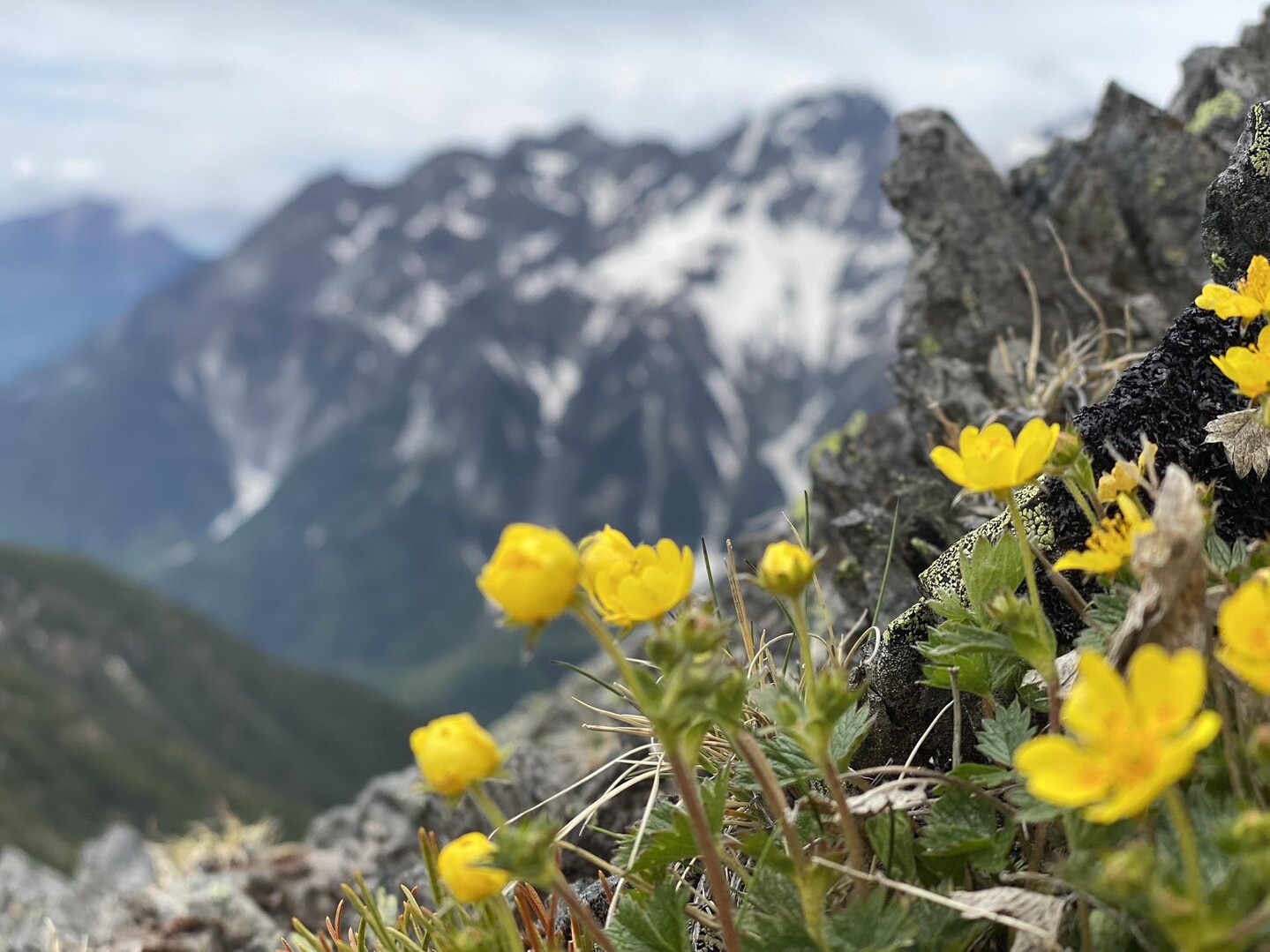 蝶ヶ岳・北アはやっぱりカッコいいなぁ💕 / shinoさんの常念岳・大天井岳・燕岳の活動データ | YAMAP / ヤマップ