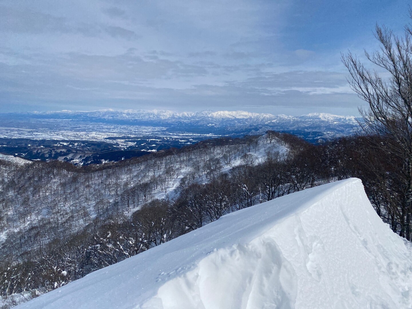 うしうし牛岳がバテバテ牛岳に / TACK🥷さんの牛岳の活動データ | YAMAP / ヤマップ