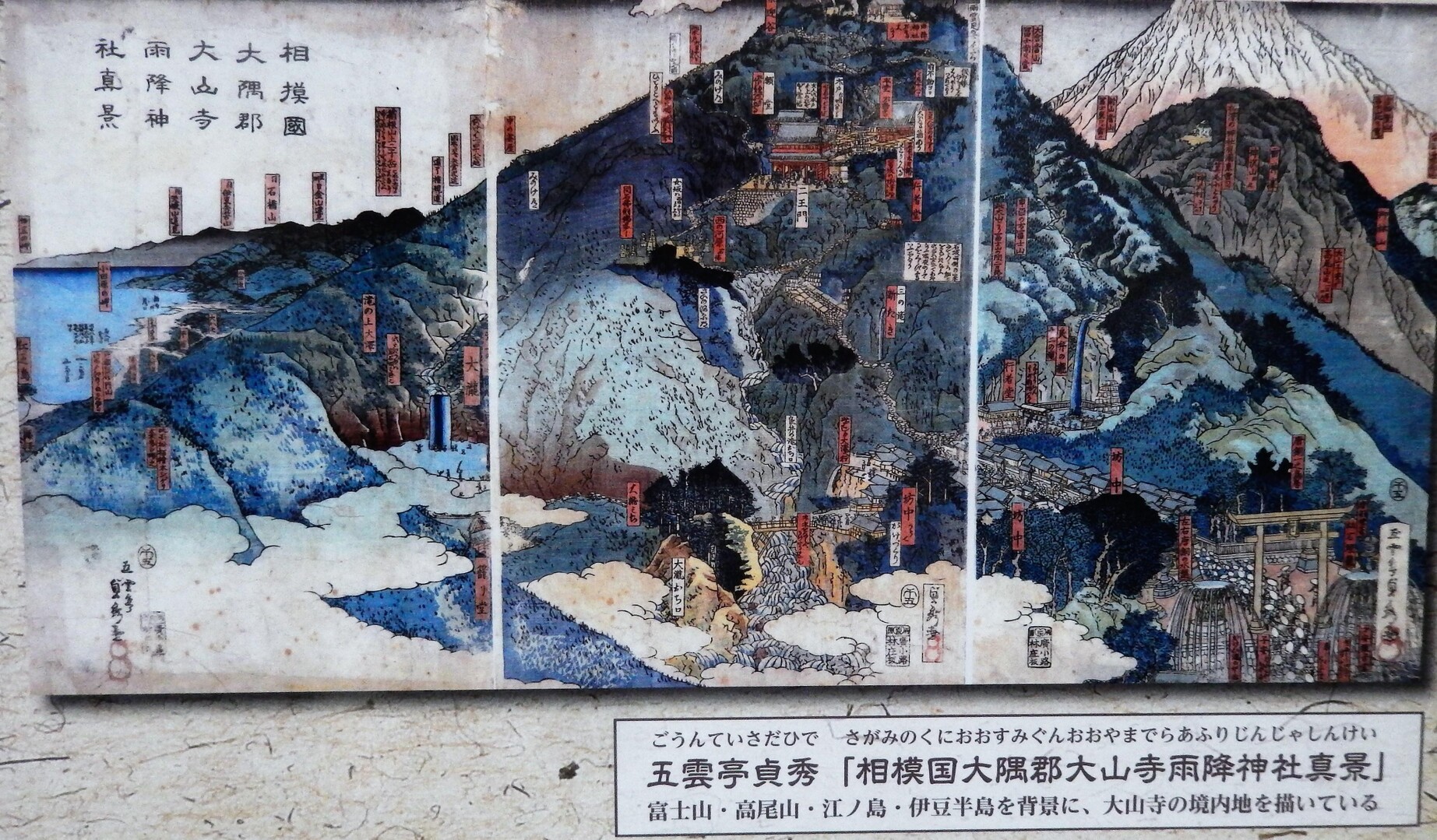 丹沢大山〜久しぶりに標高差942m上る〜 / ピエール・HOSHIさんの大山の活動日記 | YAMAP / ヤマップ