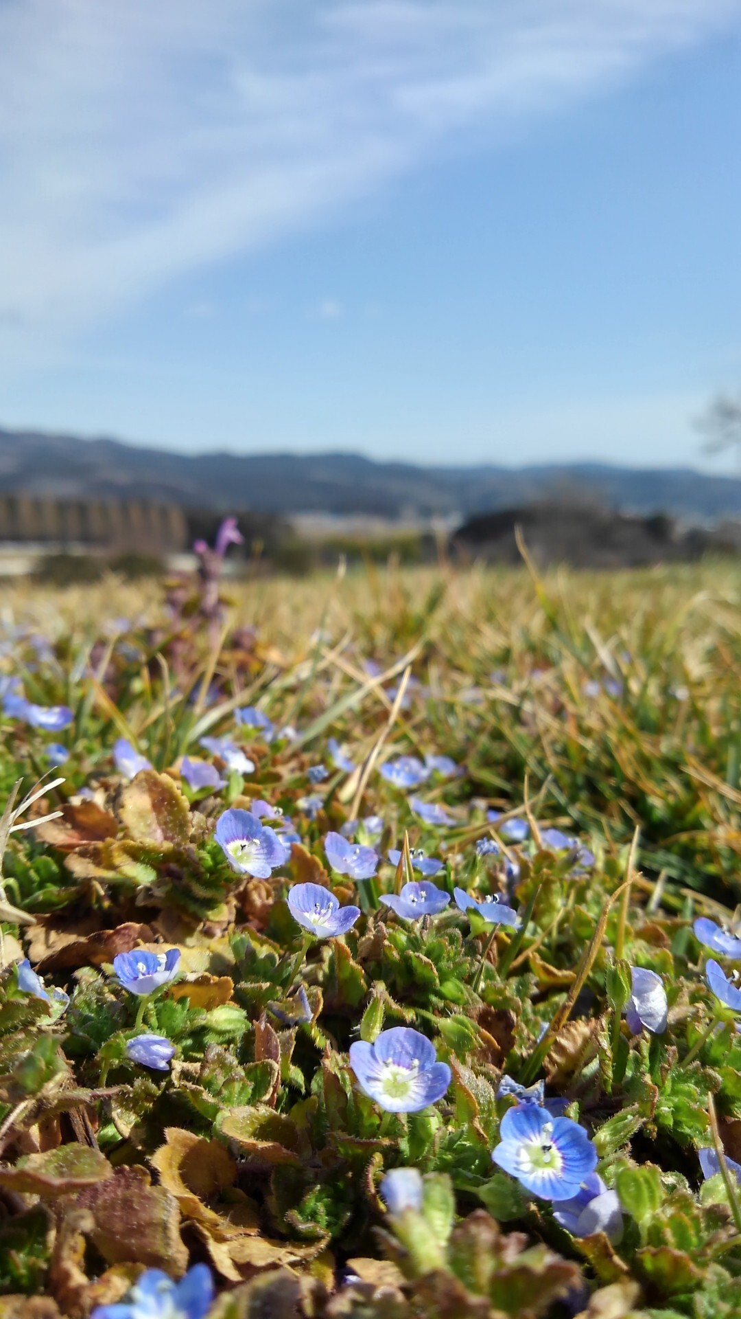 那須、大田原近郊のとある牧場で… 😆と... / campziziさんのモーメント | YAMAP / ヤマップ