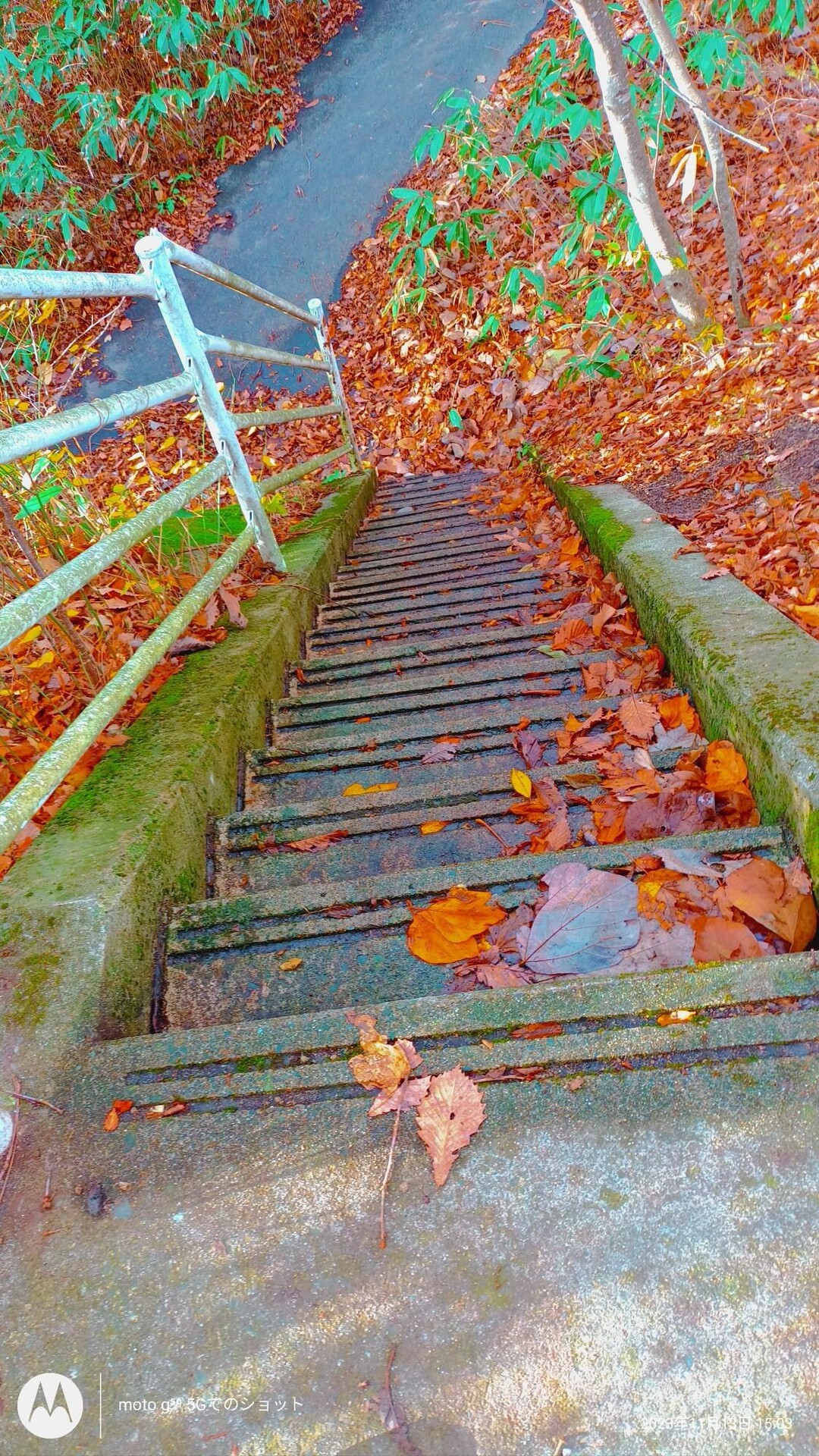 man forestさんの投稿したフィールドメモ | YAMAP / ヤマップ