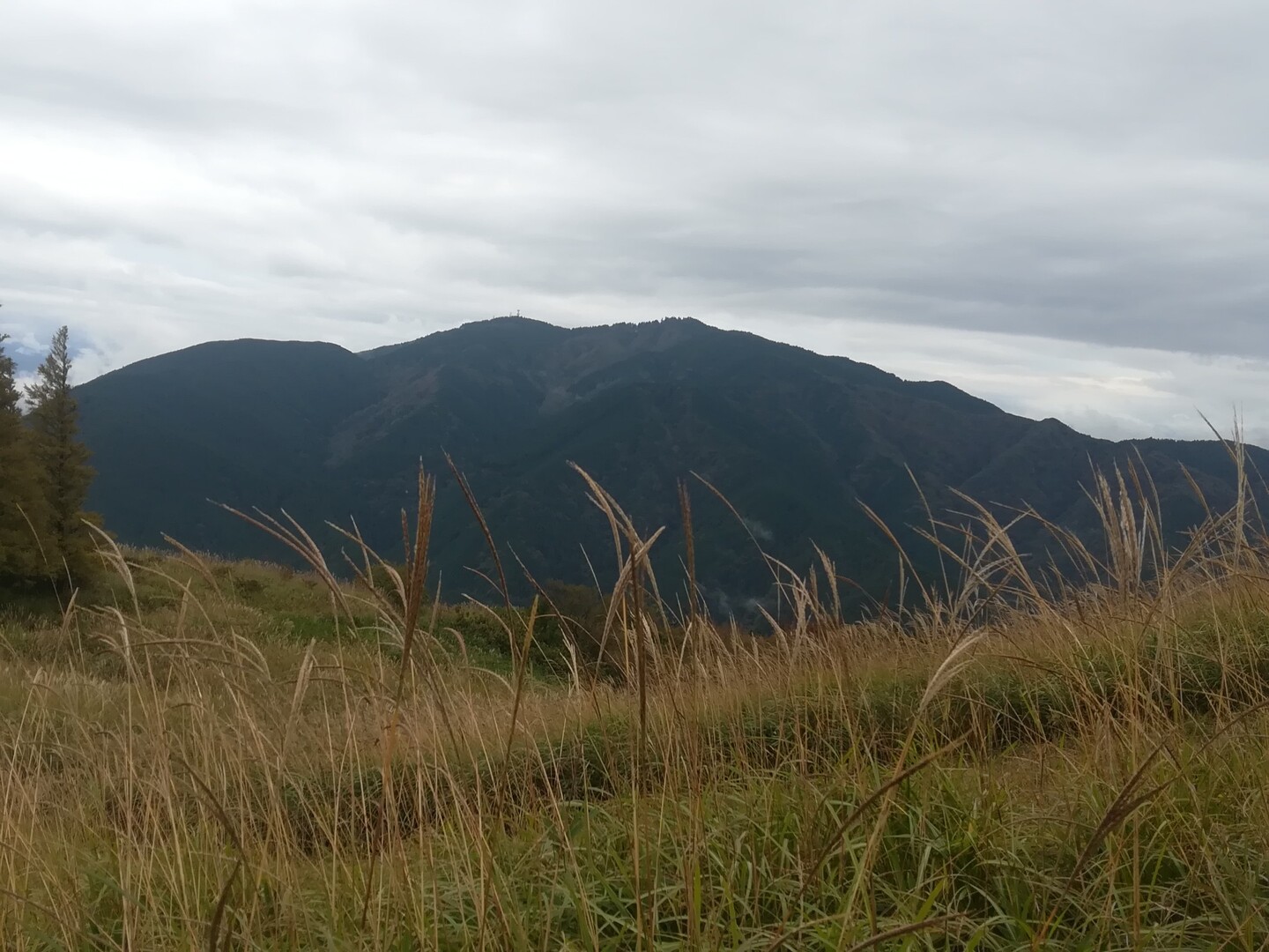 大和葛城山-2019-10-26 959.7m / yuriさんの金剛山・二上山・大和葛城山の活動データ | YAMAP / ヤマップ