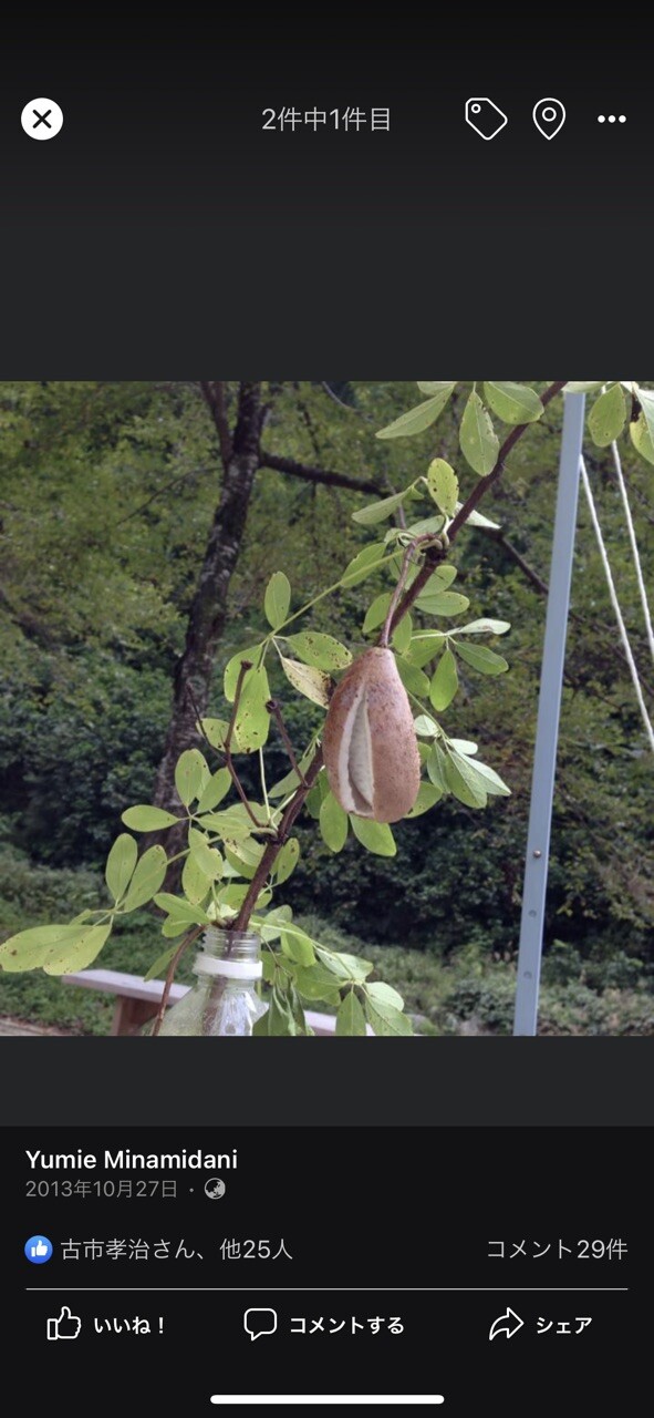 yumieのページ | YAMAP / ヤマップ