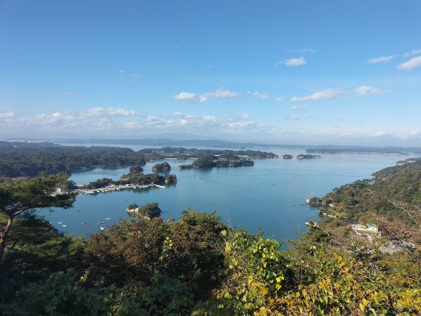 宮城オルレ奥松島〜ミサイルで20分遅れ😰最後は短縮ルート😭もお〜っ😡 / denaliさんの宮城オルレ 奥松島コースの活動データ | YAMAP / ヤマップ