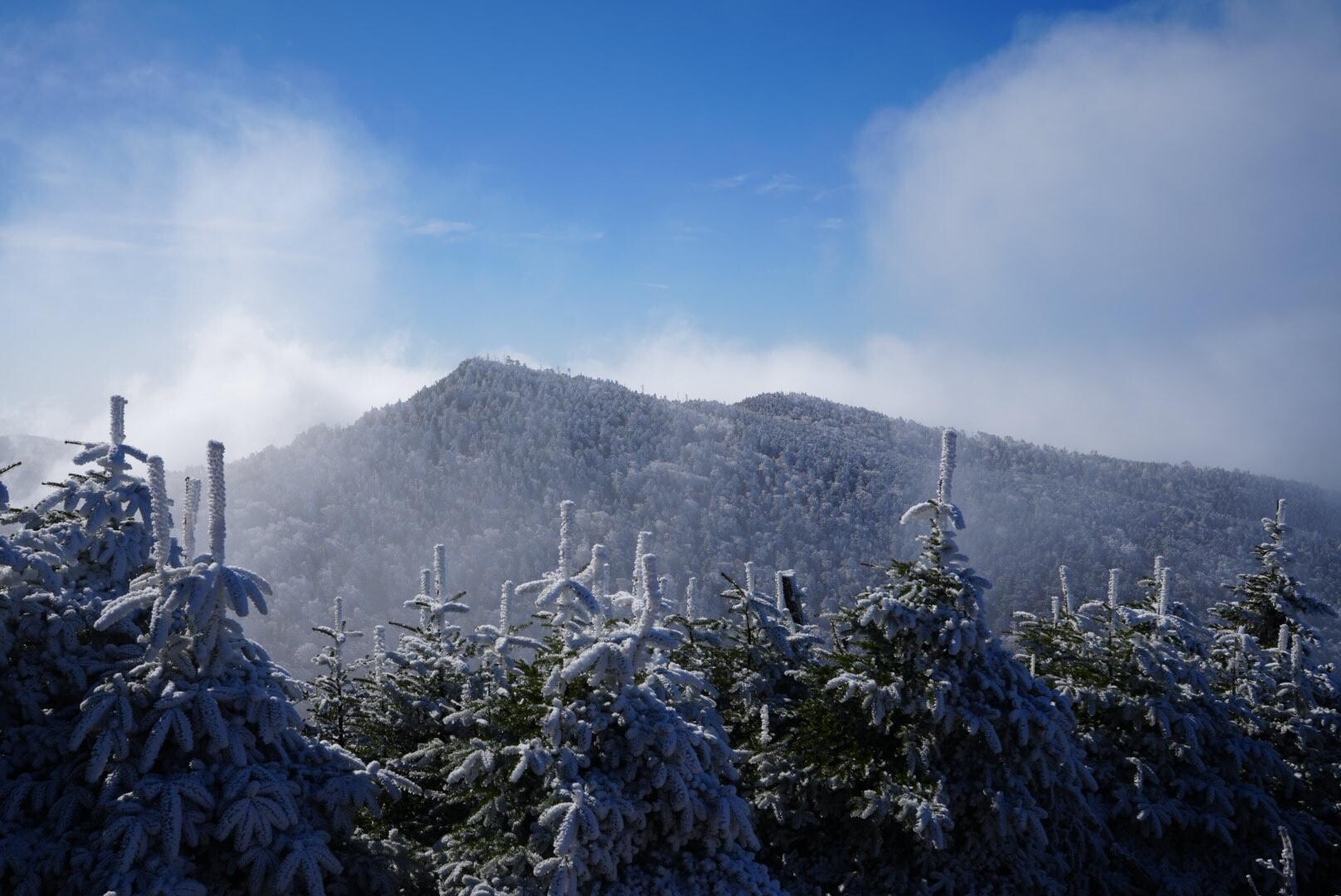 八経ヶ岳 / Masa.Rさんの八経ヶ岳の活動データ | YAMAP / ヤマップ