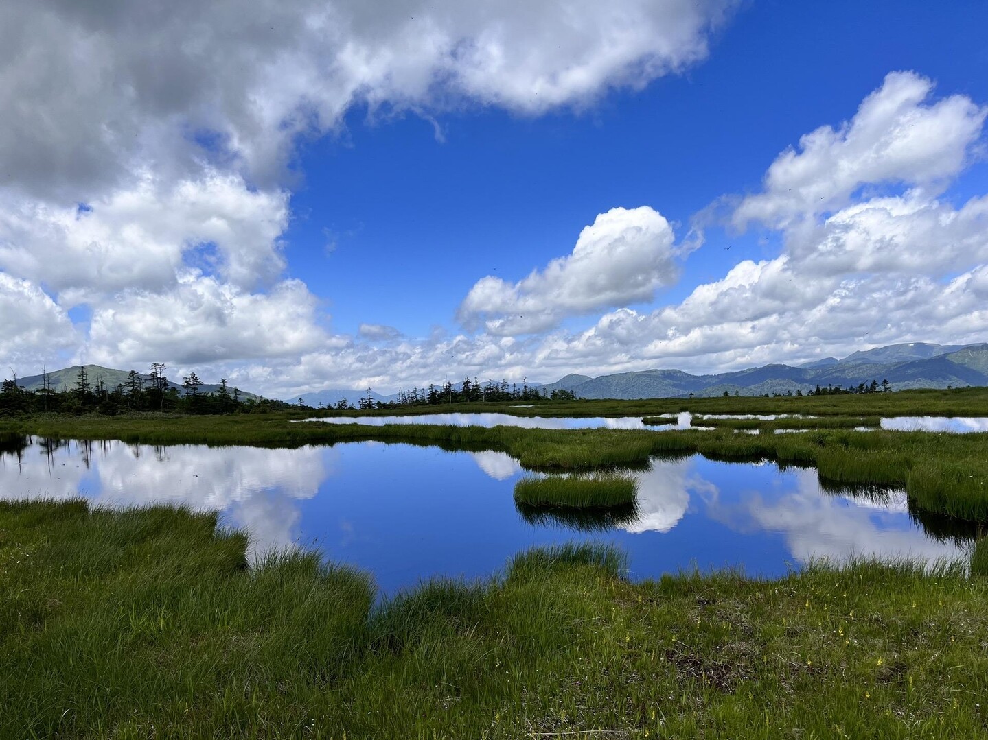 長蔵小屋泊アヤメ平（皿伏山・白尾山・中原山） / Pokiさんの尾瀬・燧ヶ岳の活動データ | YAMAP / ヤマップ