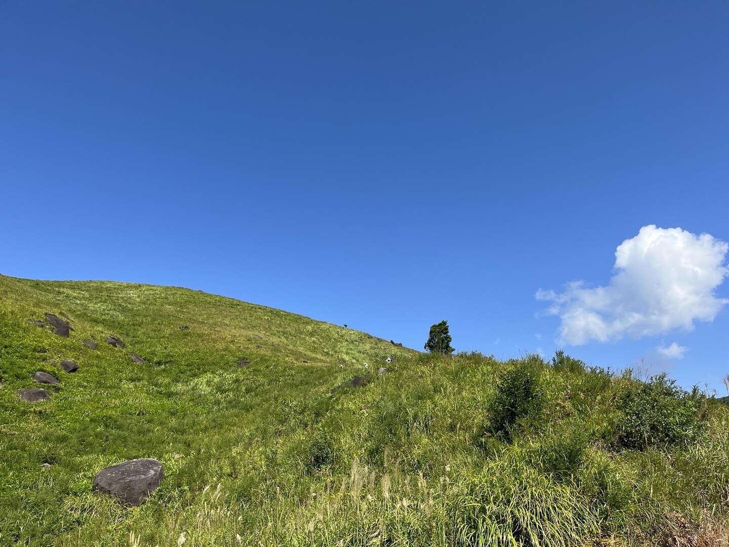 一ノ峯・二ノ峯・冠ヶ岳 / ayaka-Kさんの俵山・冠ヶ岳・清栄山の活動データ | YAMAP / ヤマップ