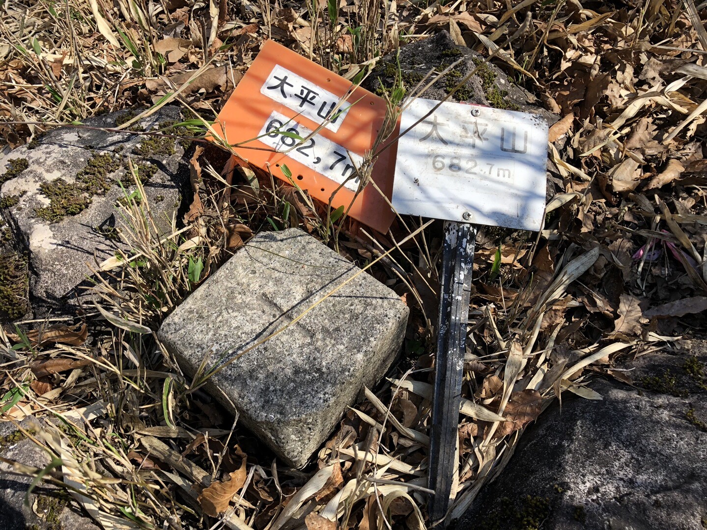 大平山 / kinさんの別府市の活動データ | YAMAP / ヤマップ