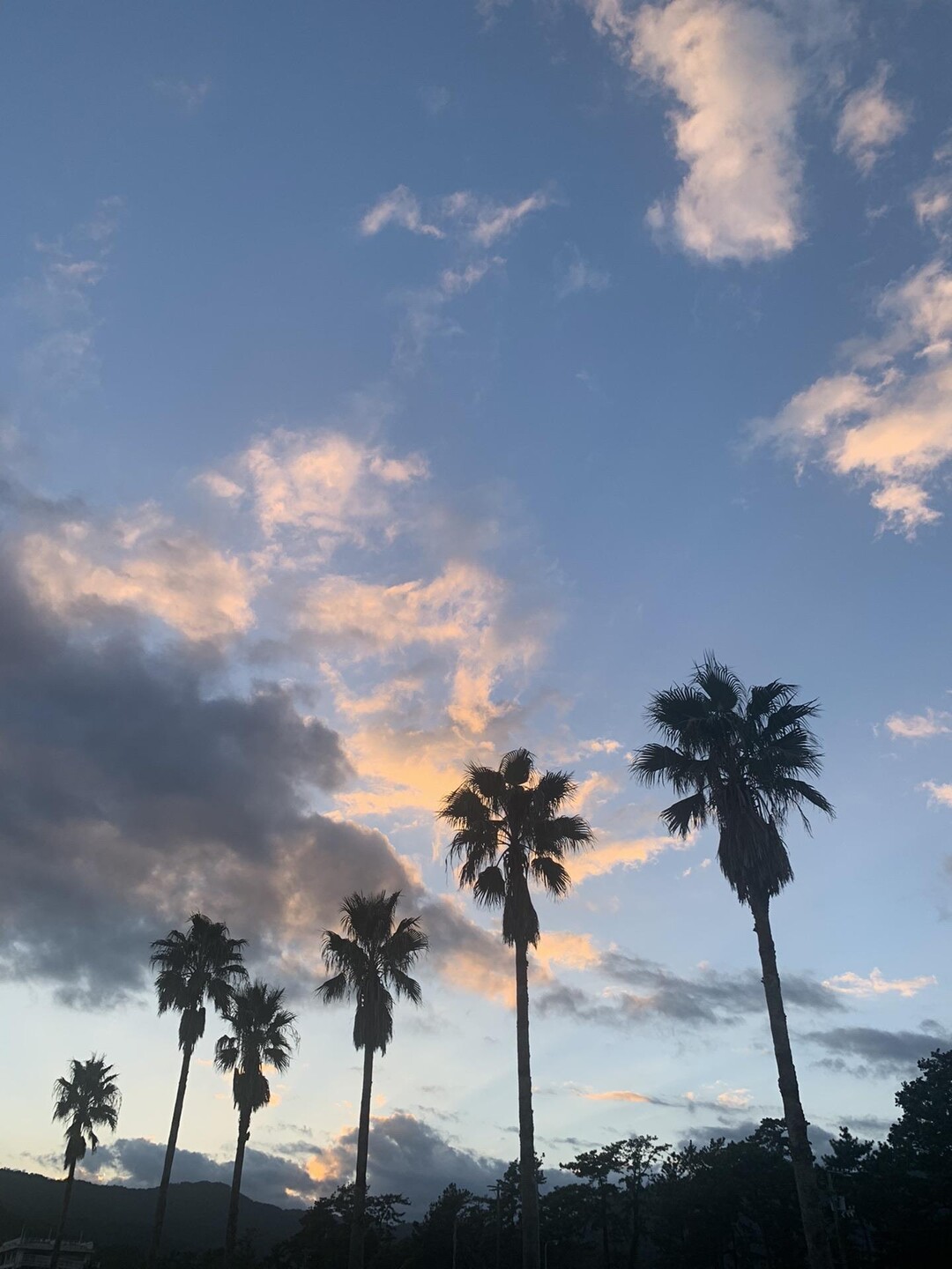 お疲れ様です / RNさんのモーメント | YAMAP / ヤマップ