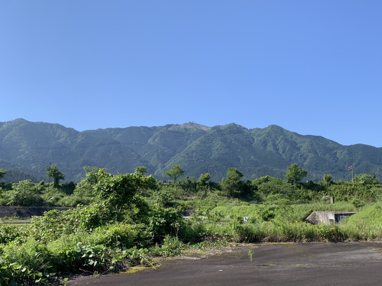 今日の粟鹿山。 山萌ゆる5月。素晴らしい... / koe-sunさんのモーメント | YAMAP / ヤマップ