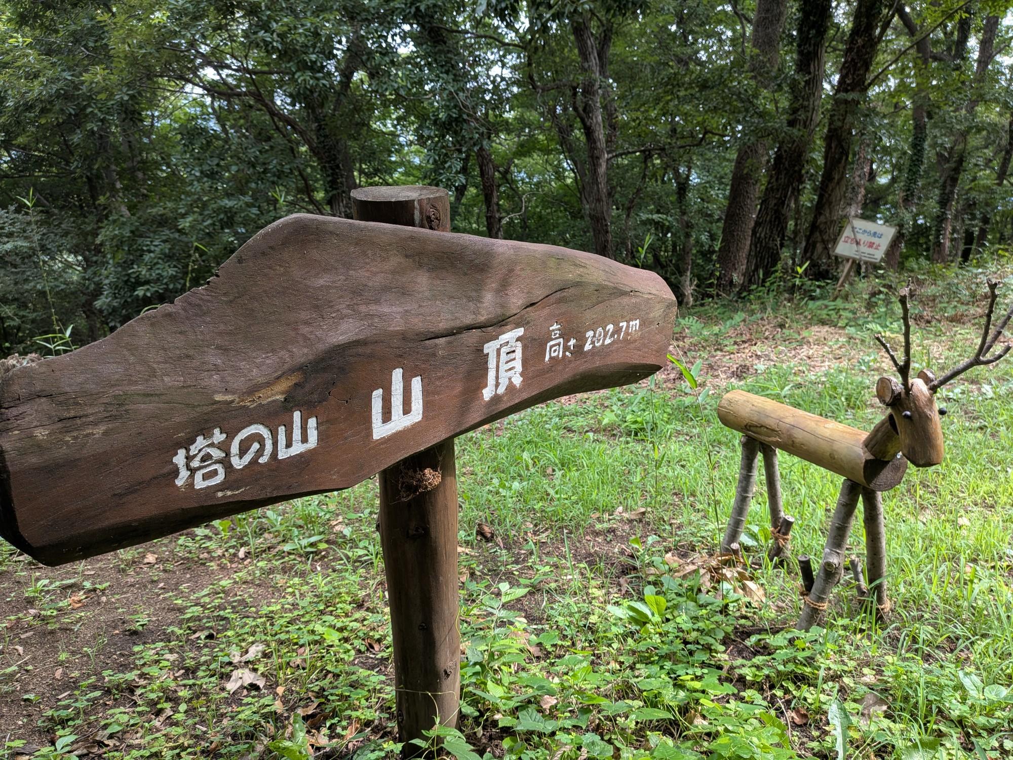 ビビりながらの塔の山 / パパ@lotta good dayさんの大山の活動データ | YAMAP / ヤマップ