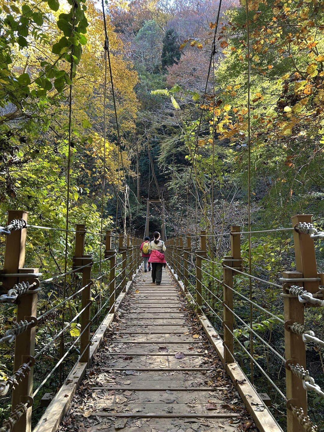 maiさんの投稿したフィールドメモ | YAMAP / ヤマップ