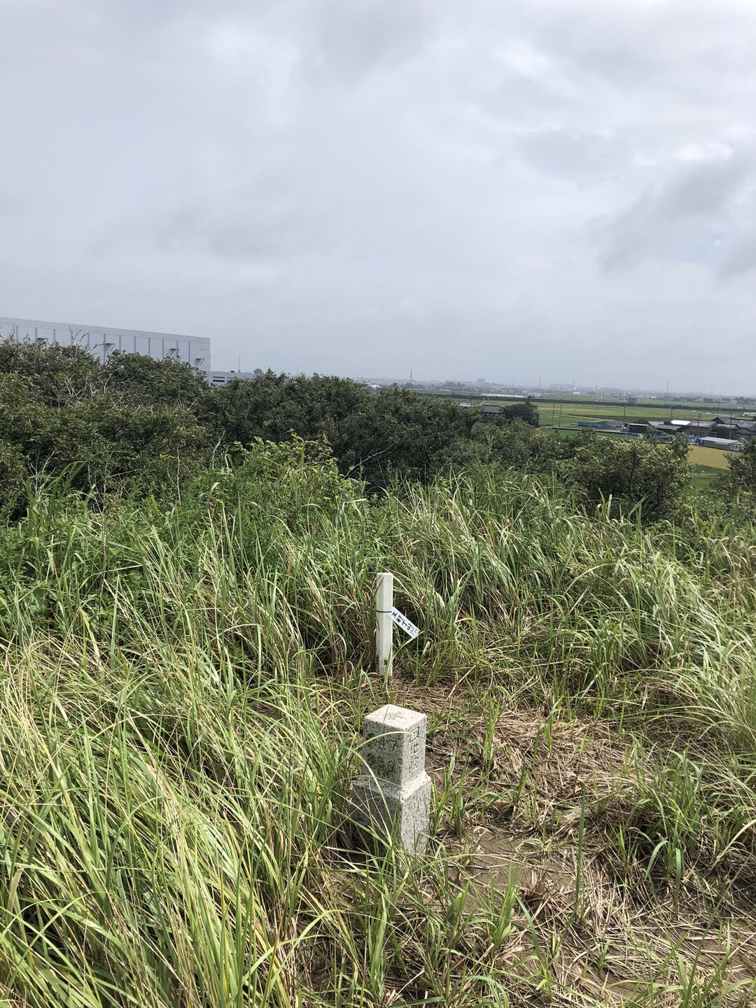 五軒丁山(標高20m)点名:村井(白山市) / のっぽ さんの金沢市の活動データ | YAMAP / ヤマップ