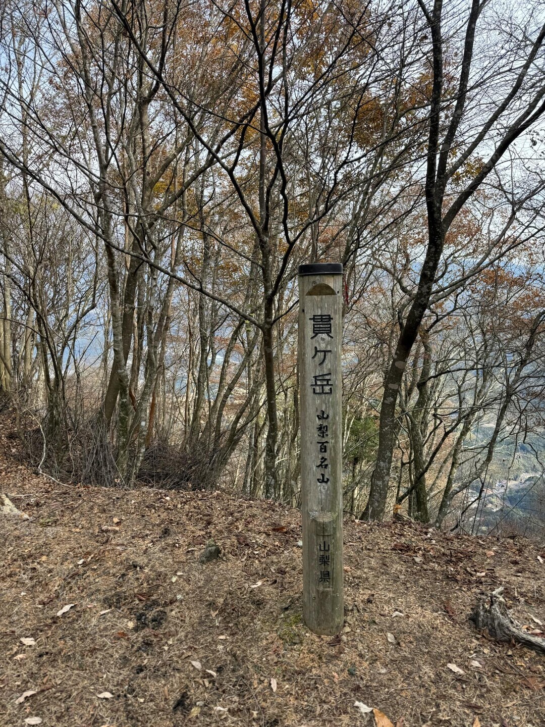 貫ヶ岳 / 岩蔵さんの貫ヶ岳・高ドッキョウの活動データ | YAMAP / ヤマップ