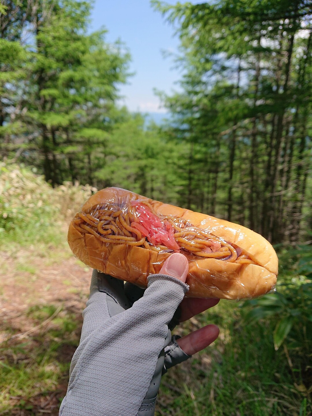 八柱山 / madoka.5296さんの蓼科山・横岳・縞枯山の活動データ | YAMAP / ヤマップ