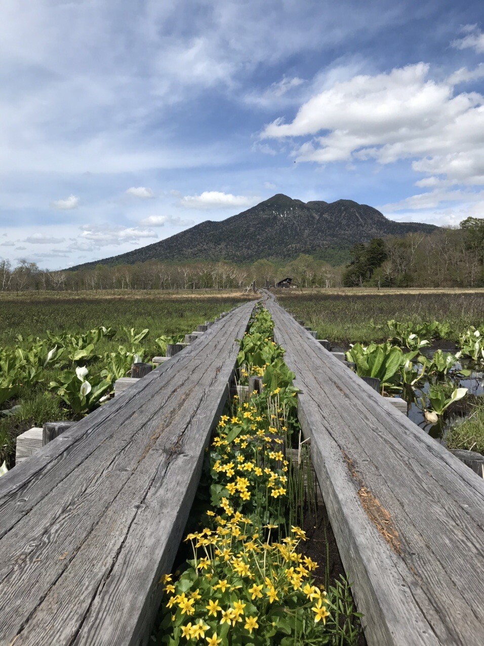 尾瀬で誕生日 2021-06-01〜06-02 / keyさんの尾瀬・燧ヶ岳の活動データ | YAMAP / ヤマップ
