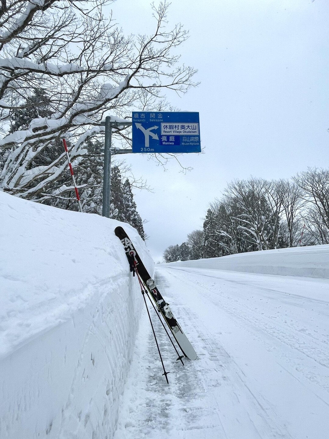 烏ヶ山 BC / souさんの大山・甲ヶ山・野田ヶ山の活動データ | YAMAP / ヤマップ